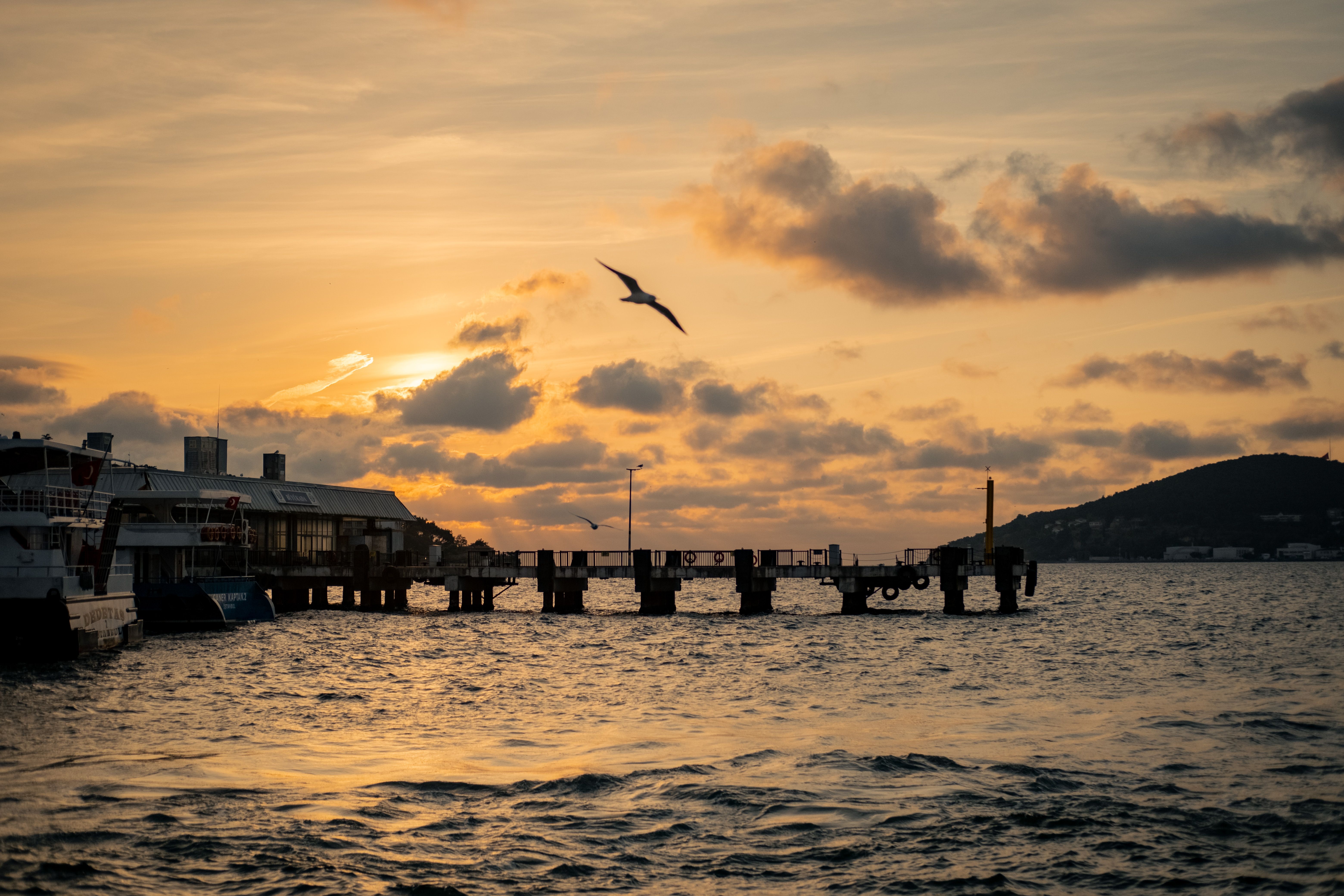 Sunset Over Pier with Bird in Flight · Free Stock Photo