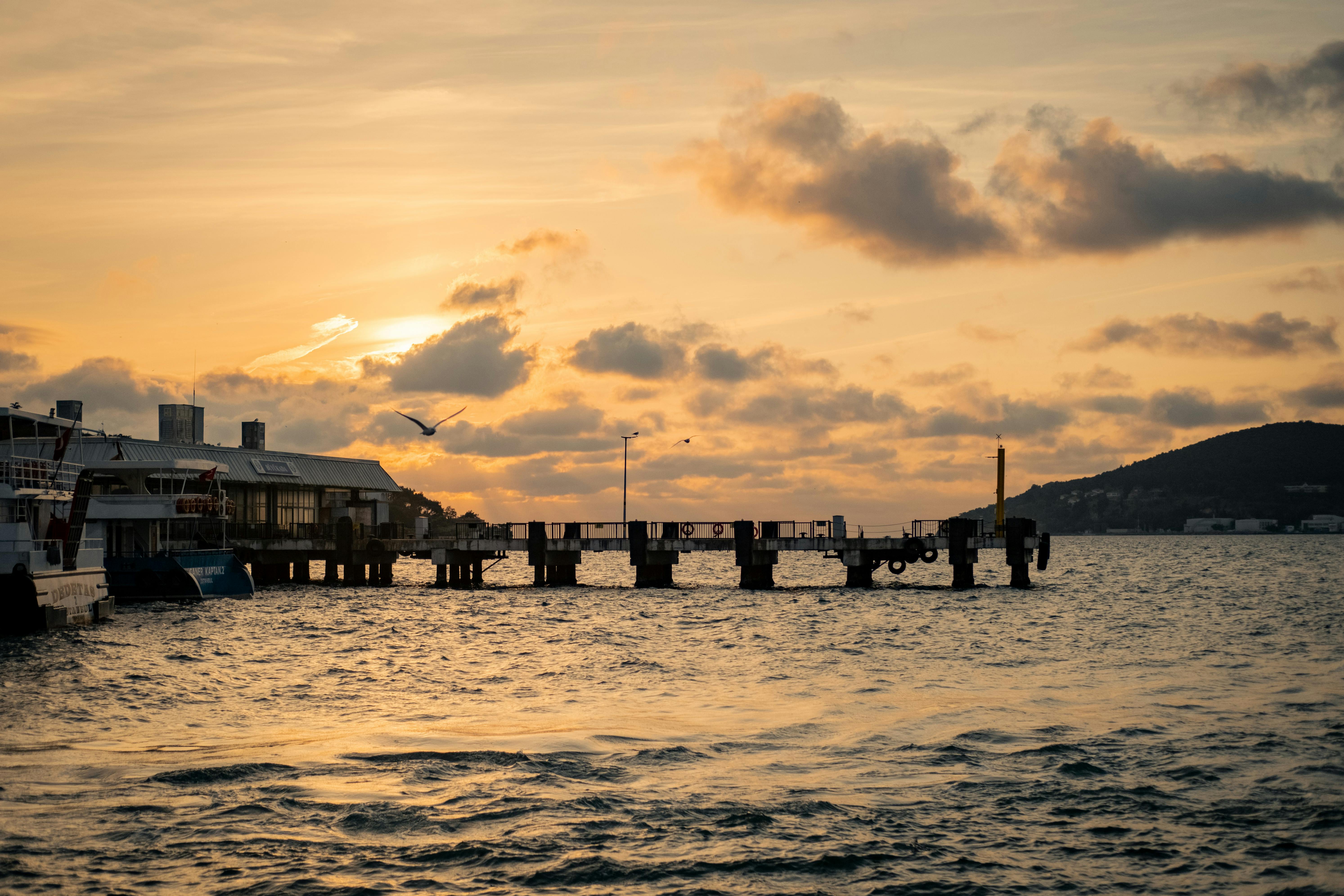 Scenic Sunset Over Ocean Pier with Birds · Free Stock Photo