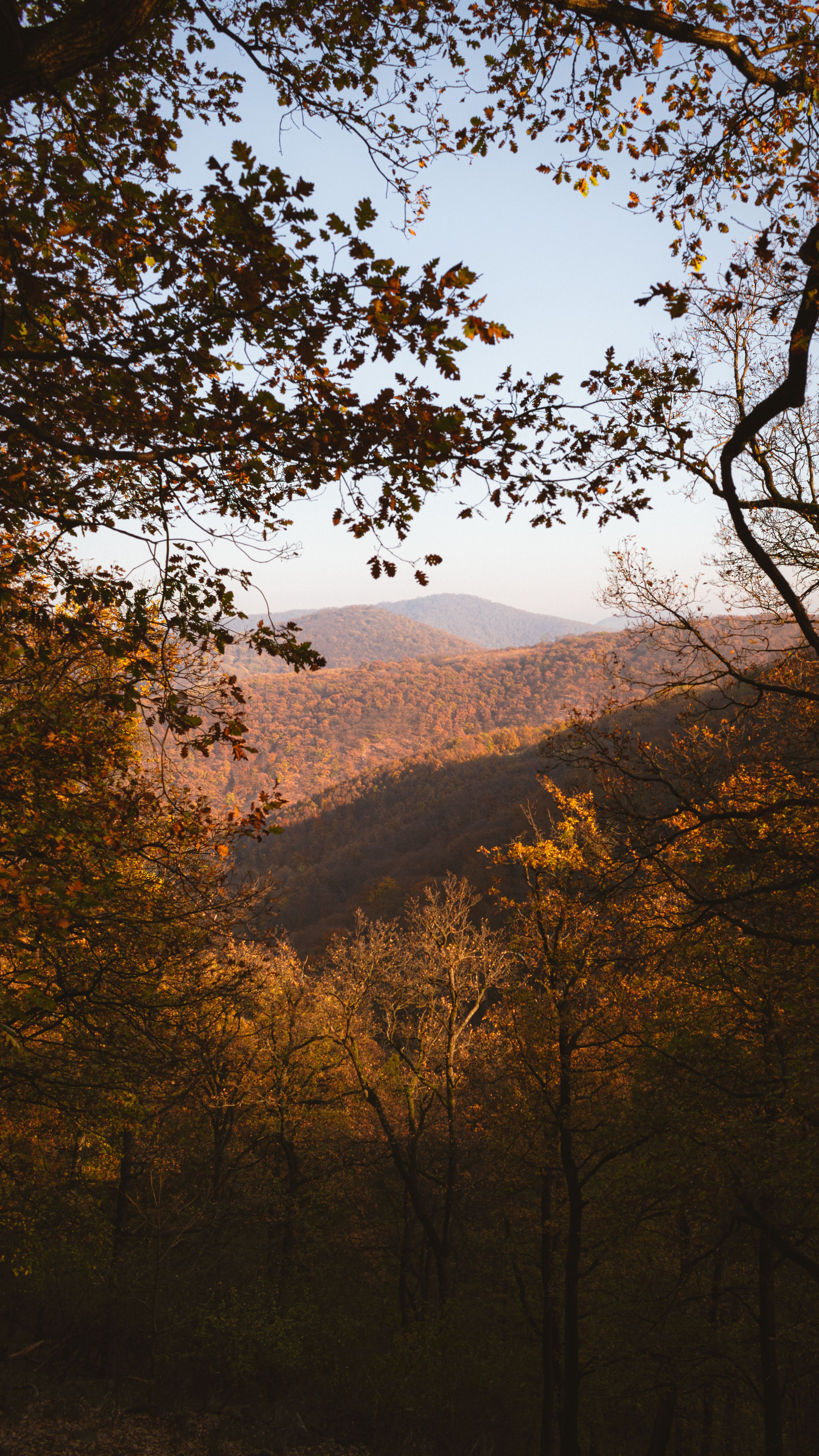 Breathtaking Fall Foliage in Scenic Mountain Valley · Free Stock Photo