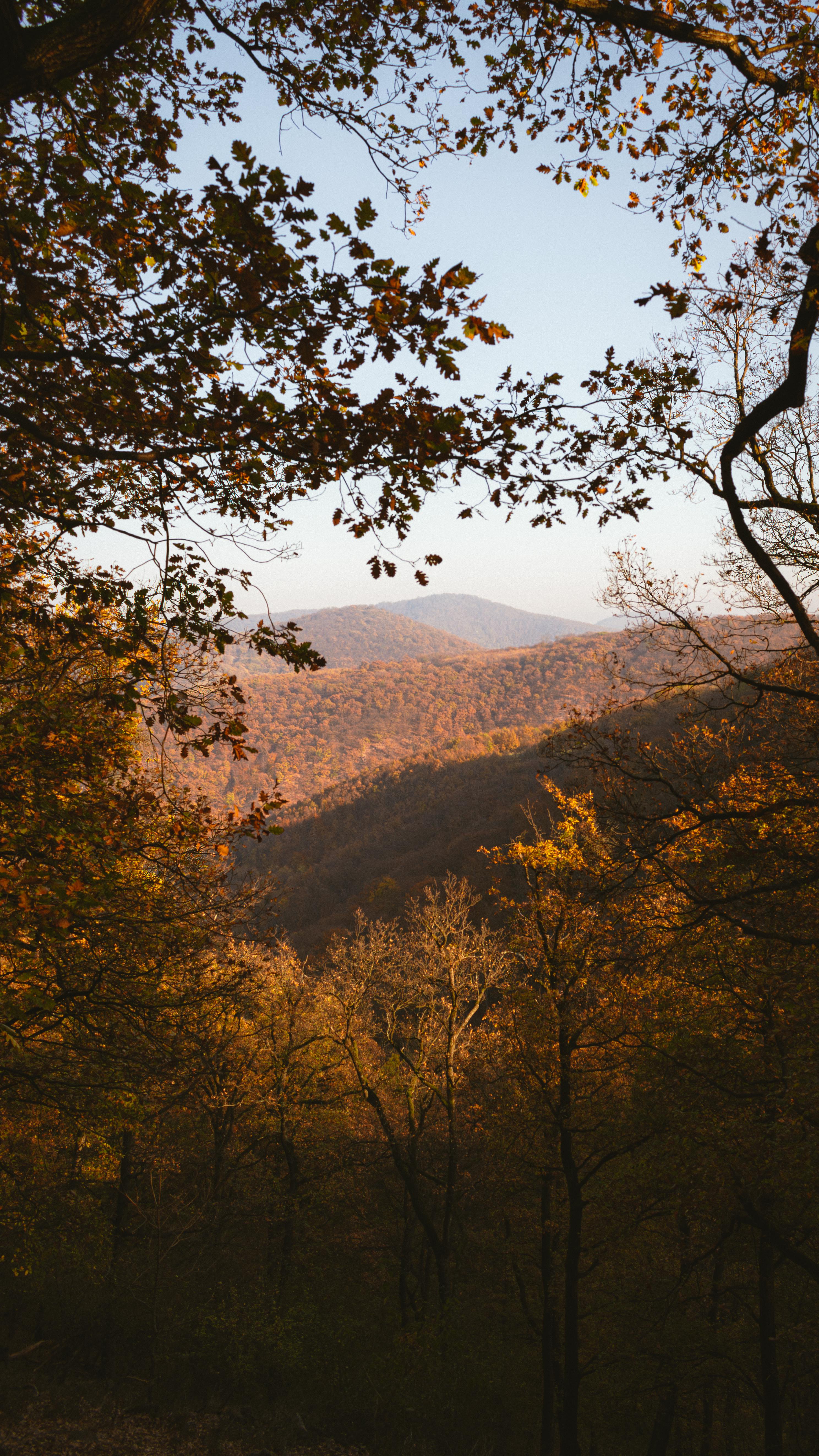 Valley Overview Photos, Download The BEST Free Valley Overview Stock ...