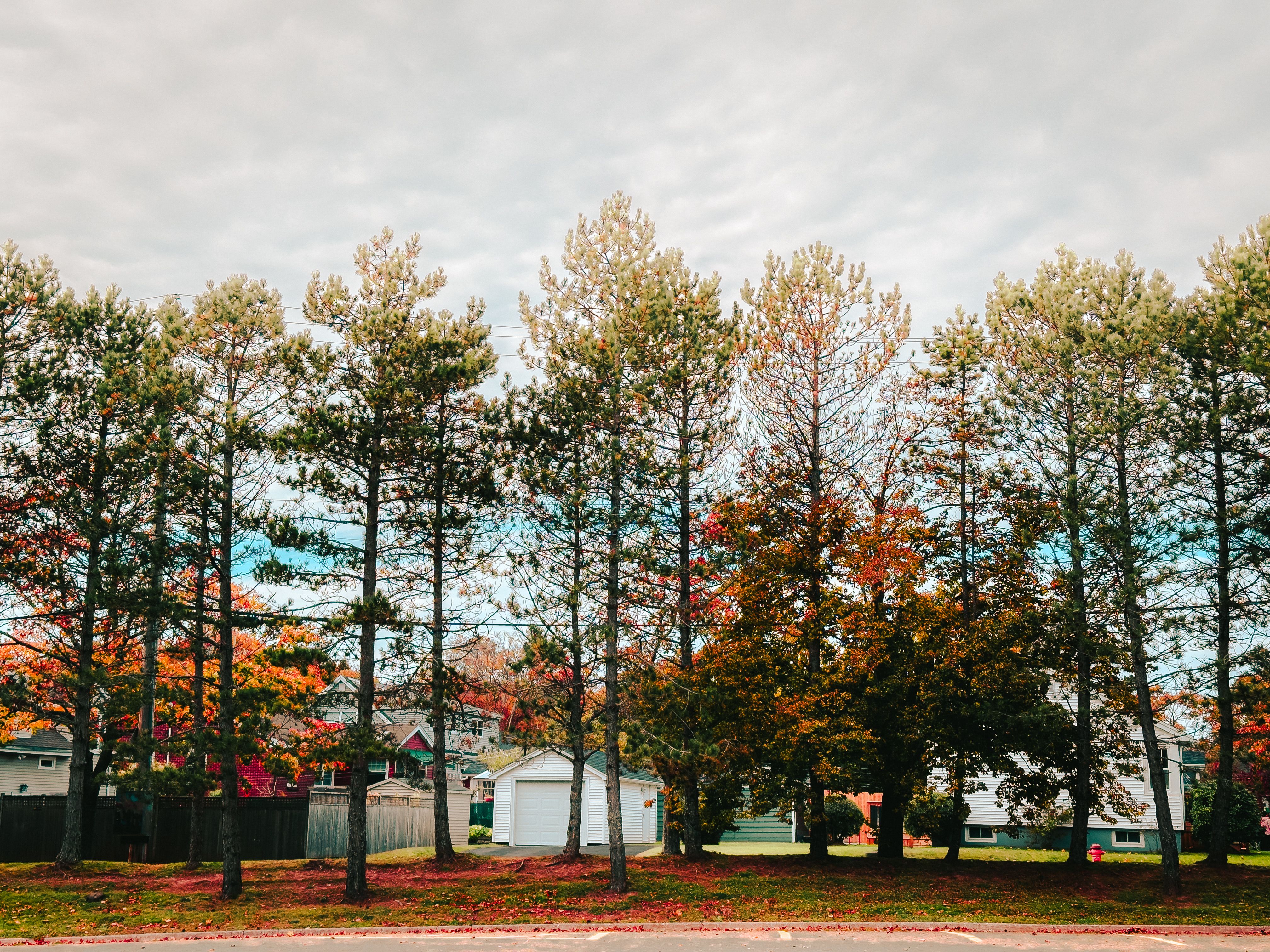 Serene Fall Scene in Halifax, Nova Scotia · Free Stock Photo