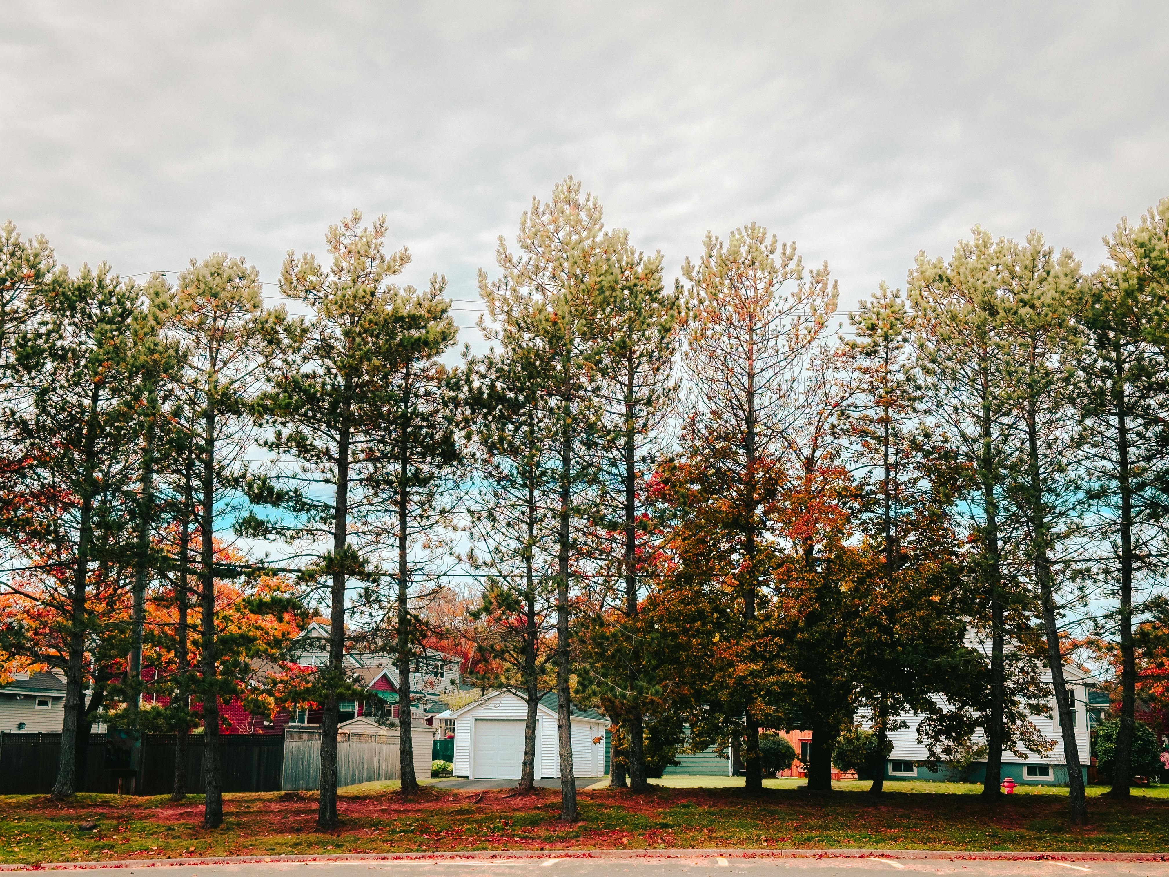 Serene Fall Scene in Halifax, Nova Scotia · Free Stock Photo