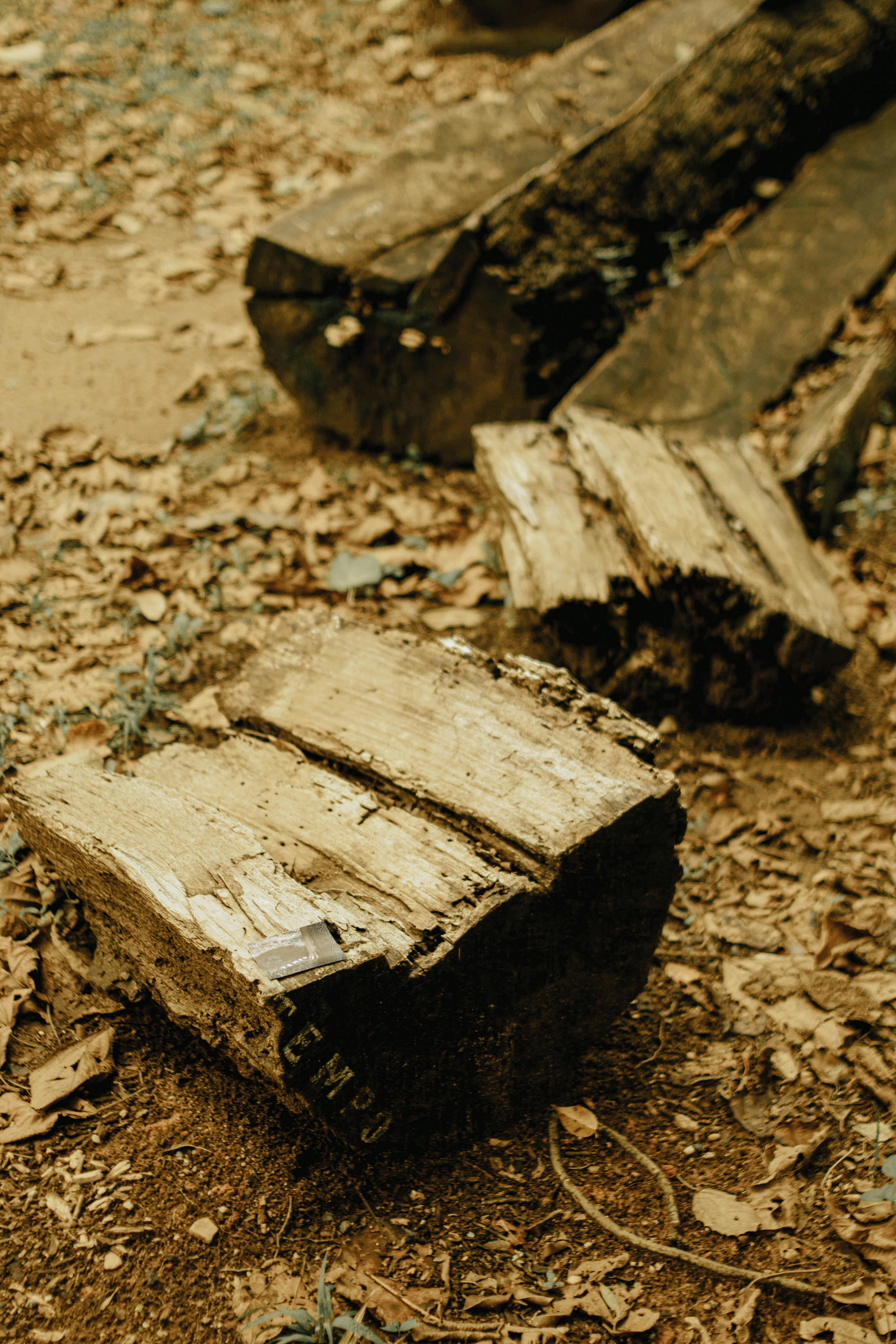 Brown Logs · Free Stock Photo