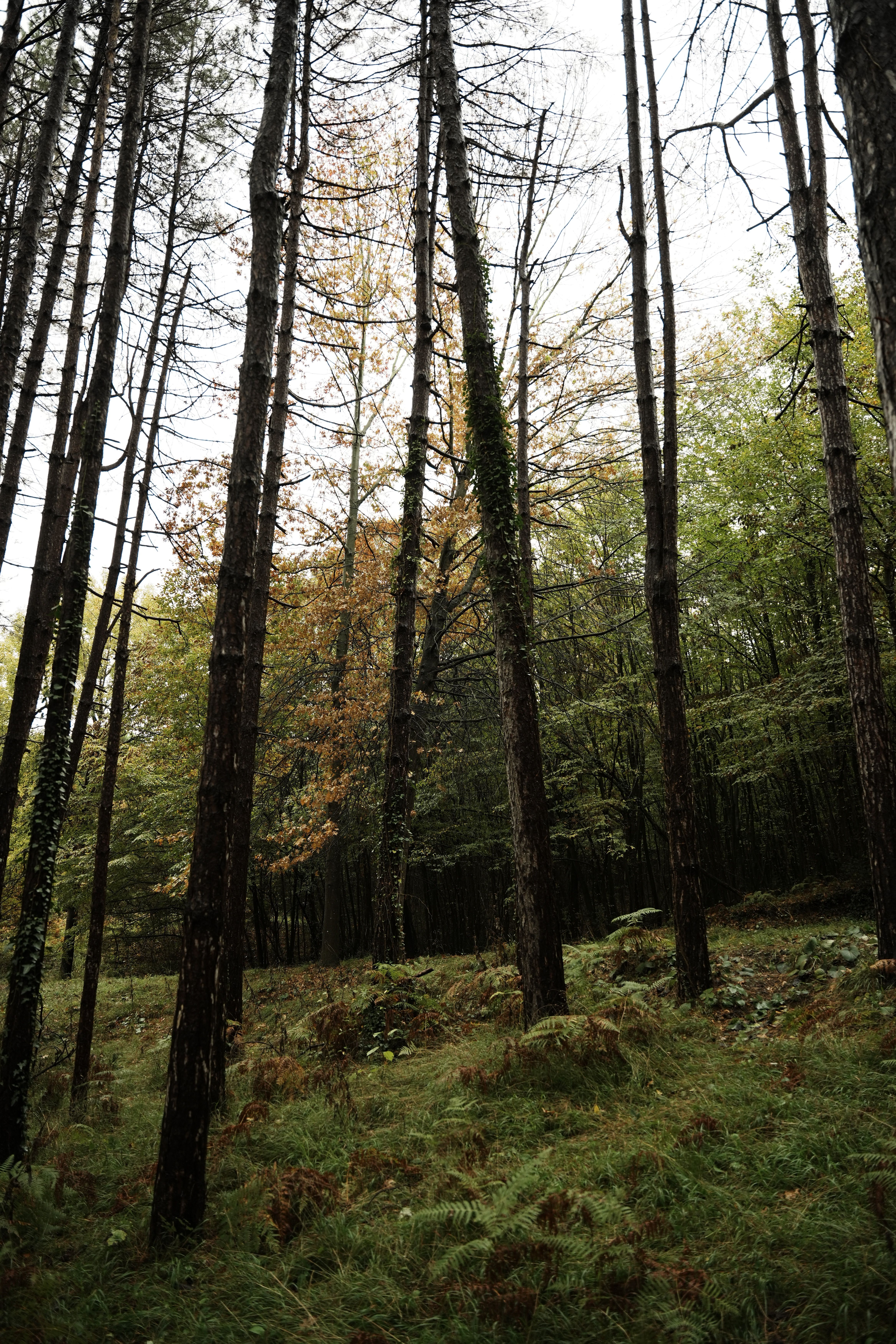 Autumn Stillness Photos, Download The BEST Free Autumn Stillness Stock ...