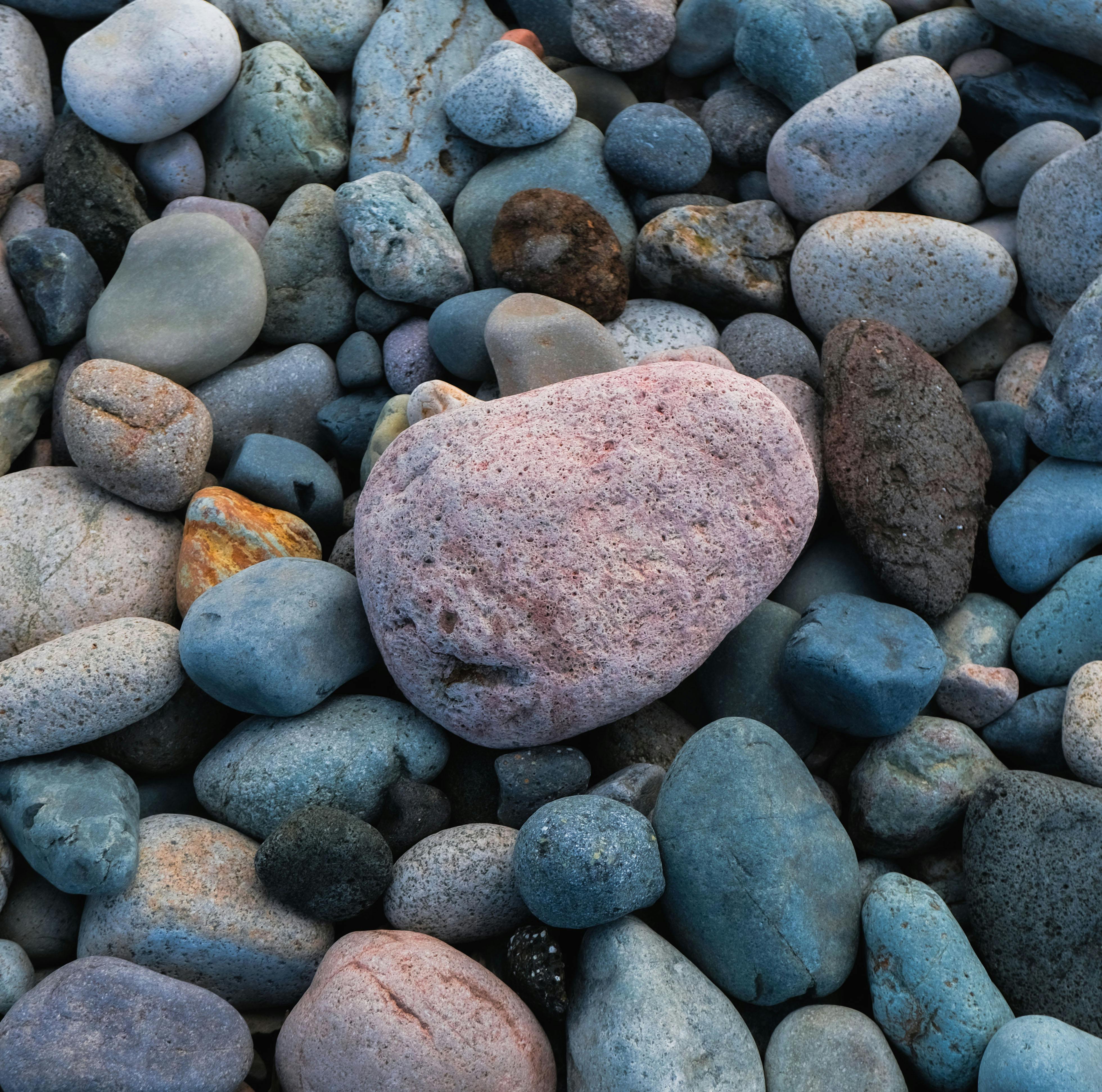 Colorful Pebbles on a Beach Shoreline · Free Stock Photo