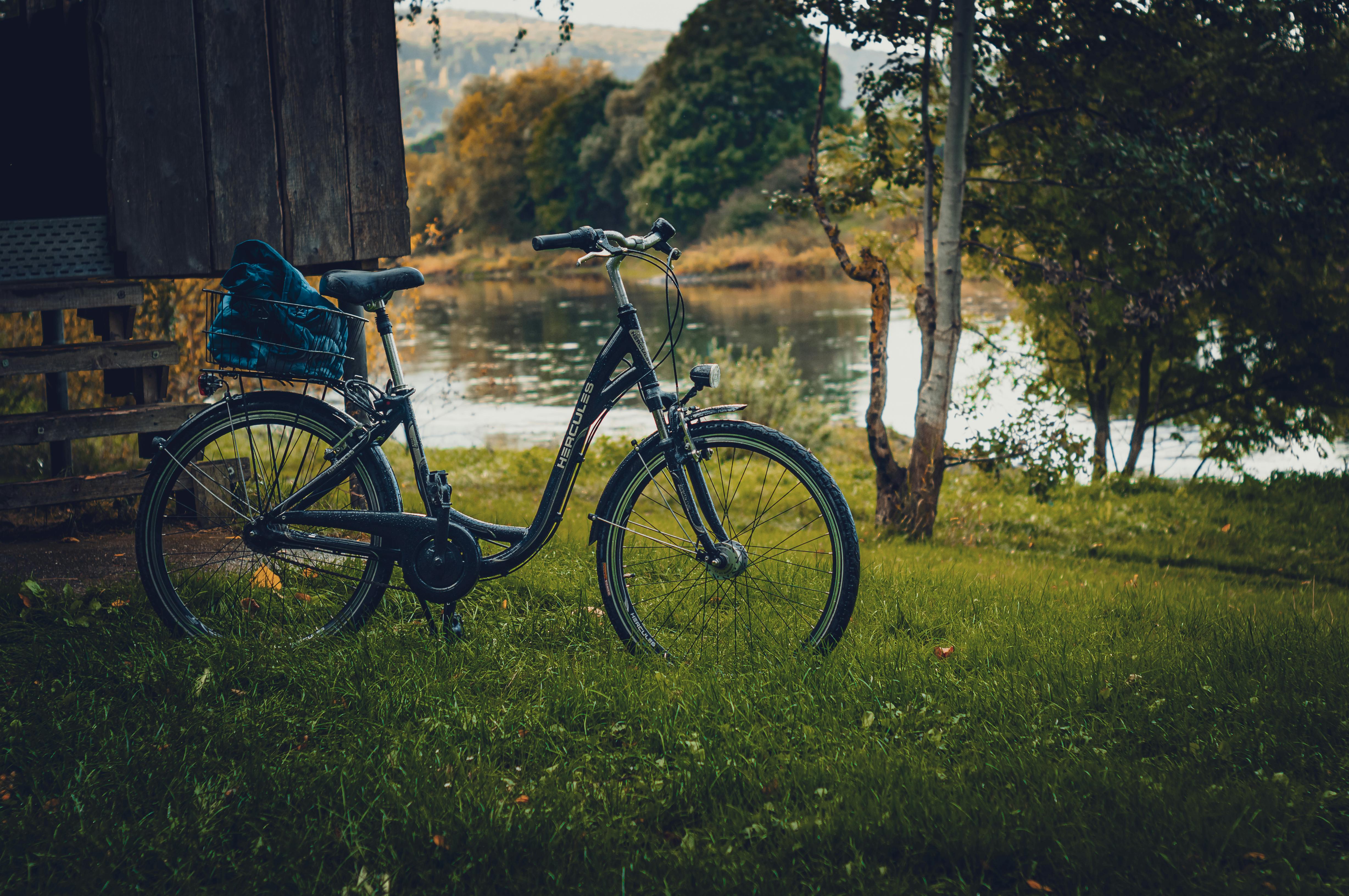 Vintage Bicycle by Serene Lakeside Landscape · Free Stock Photo
