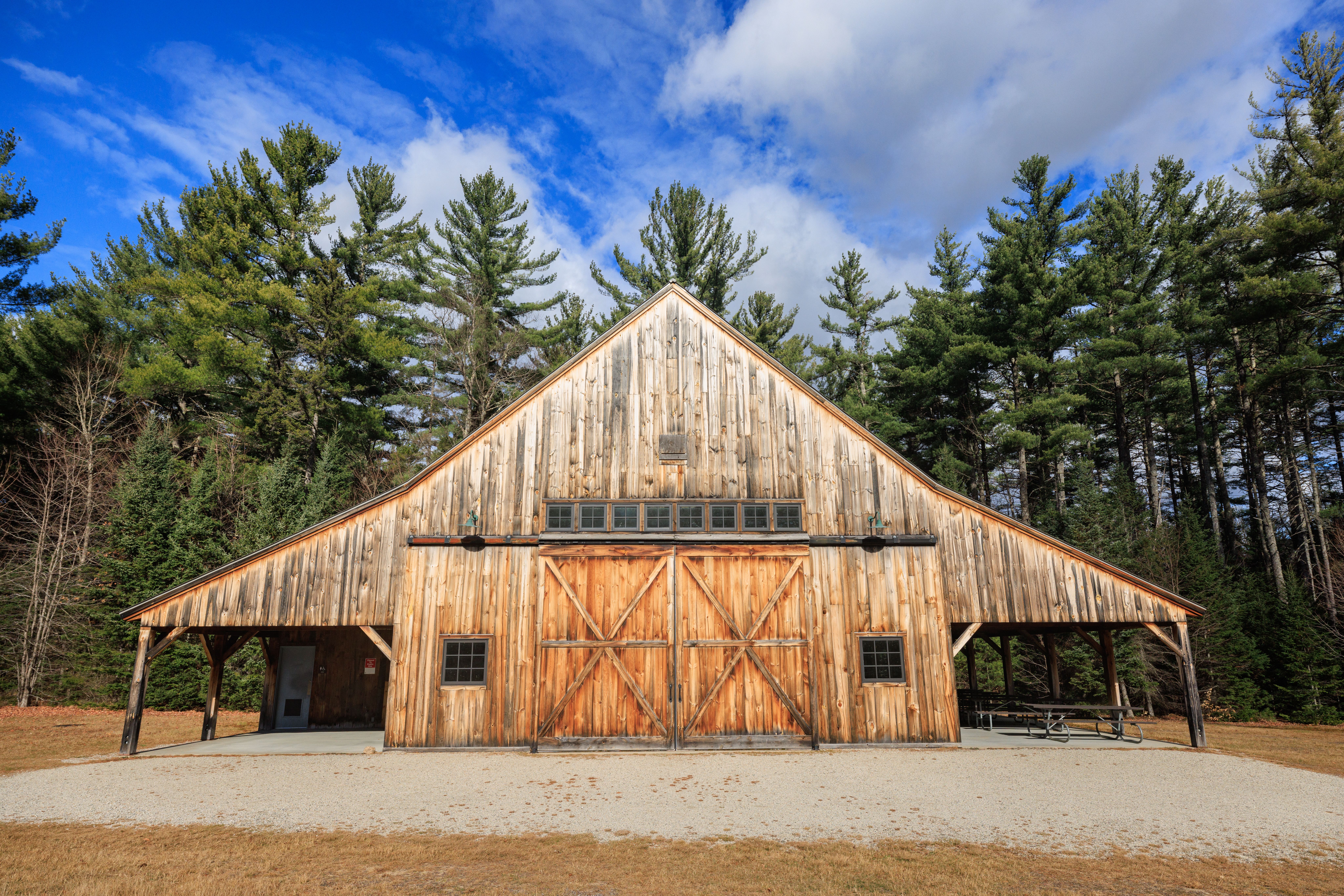 Rustic Wooden Barn Amidst Pine Forest Outdoors · Free Stock Photo