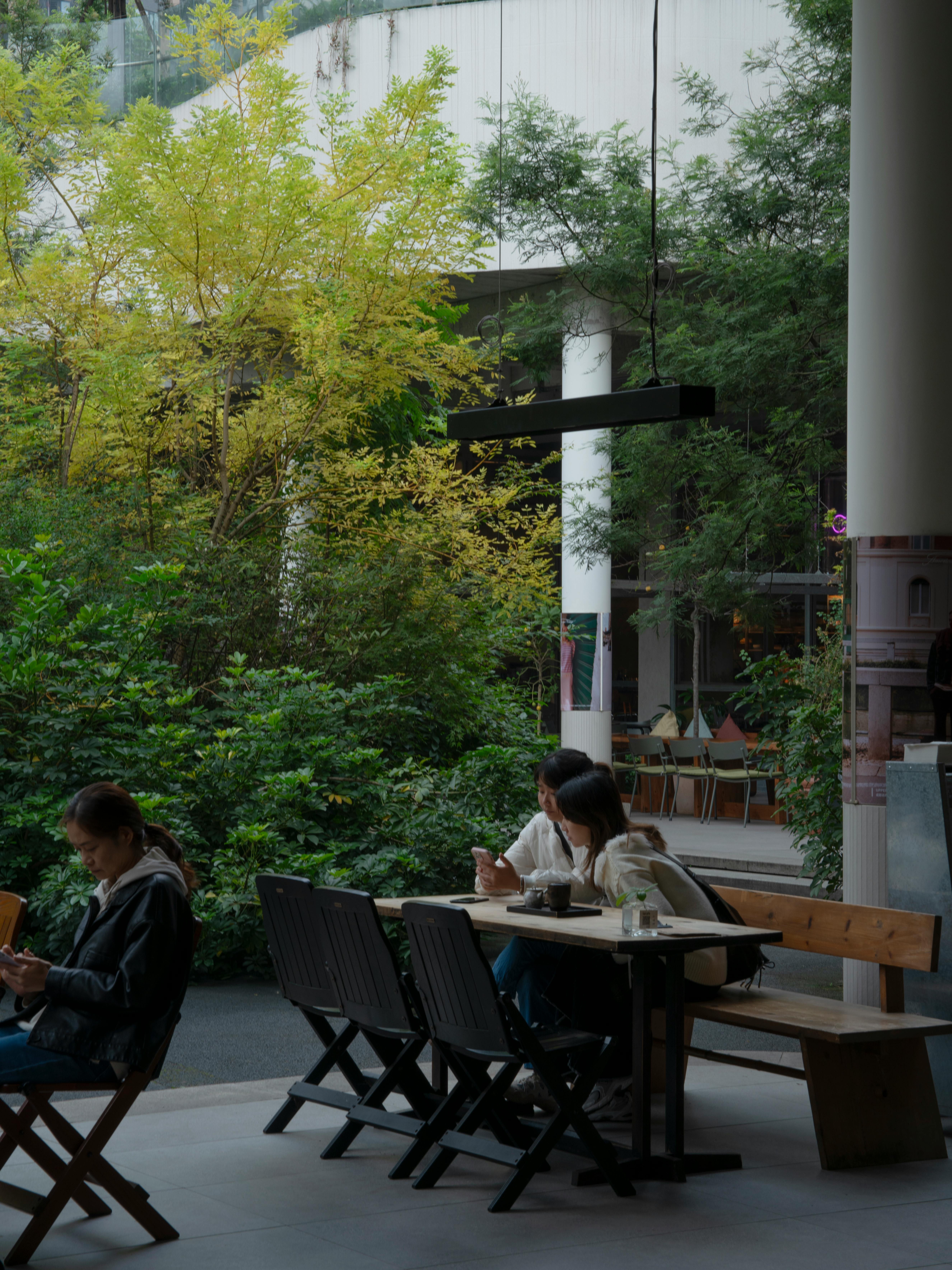 Outdoor Cafe Seating with Greenery in Fall · Free Stock Photo