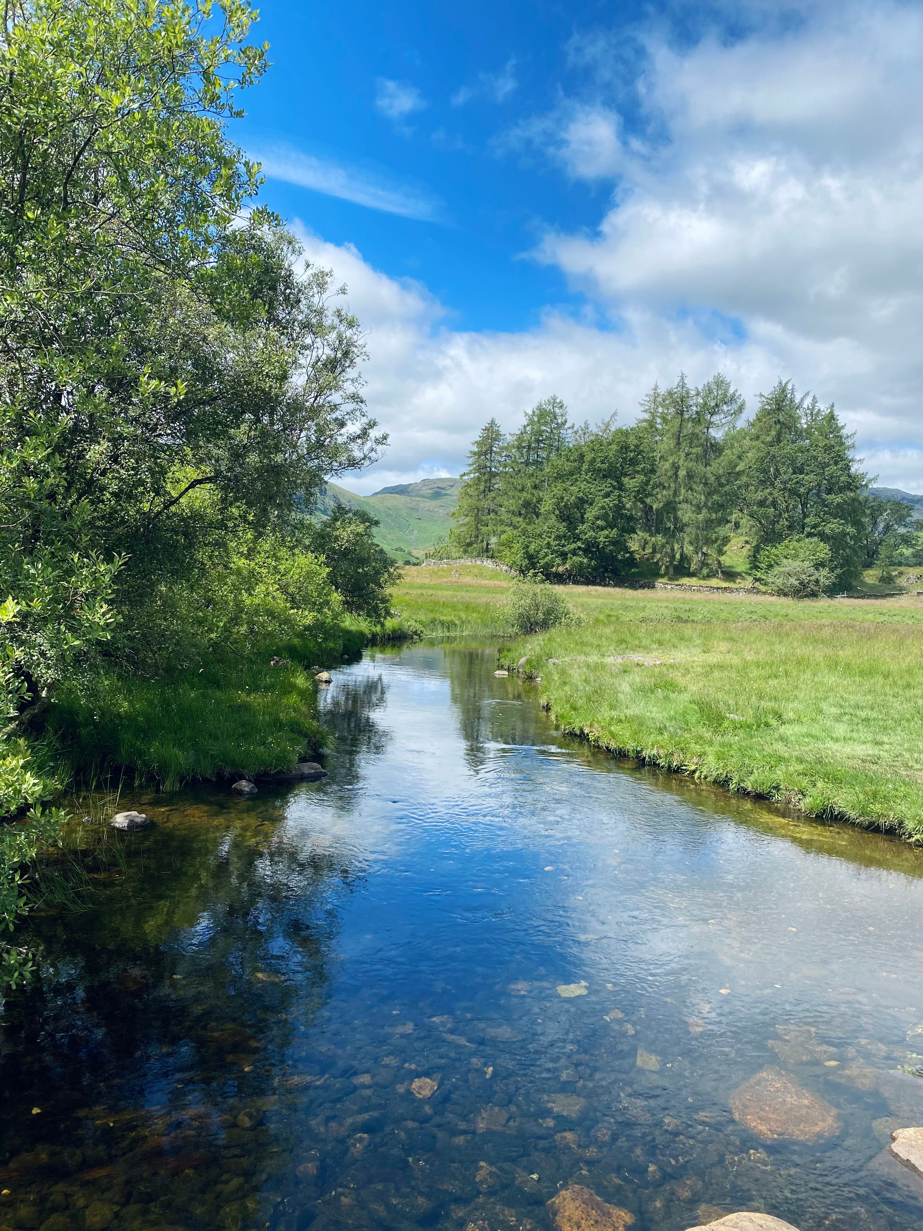Tranquil Stream in Lush Green Countryside · Free Stock Photo