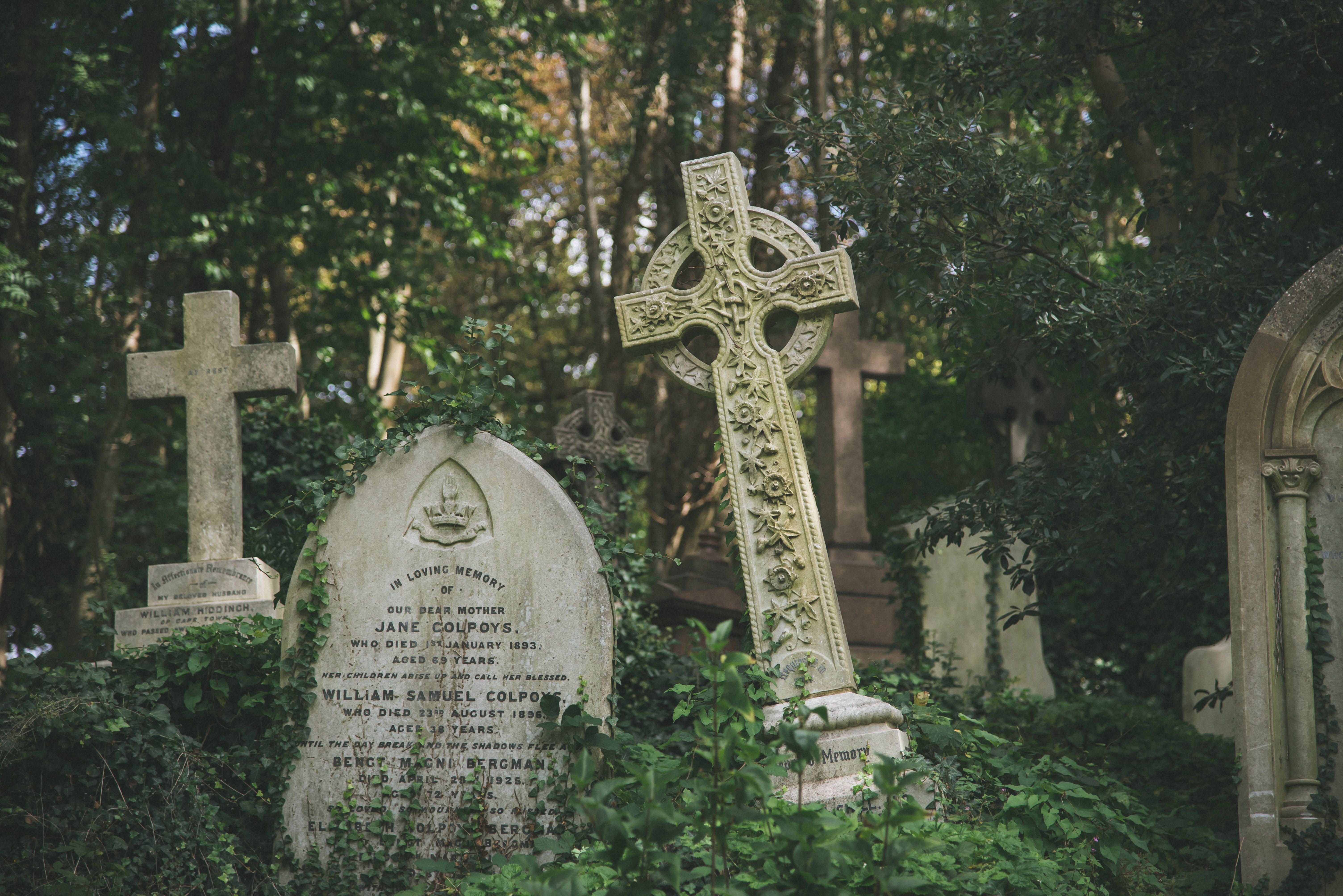 Historic Gravestones in Highgate Cemetery, London · Free Stock Photo