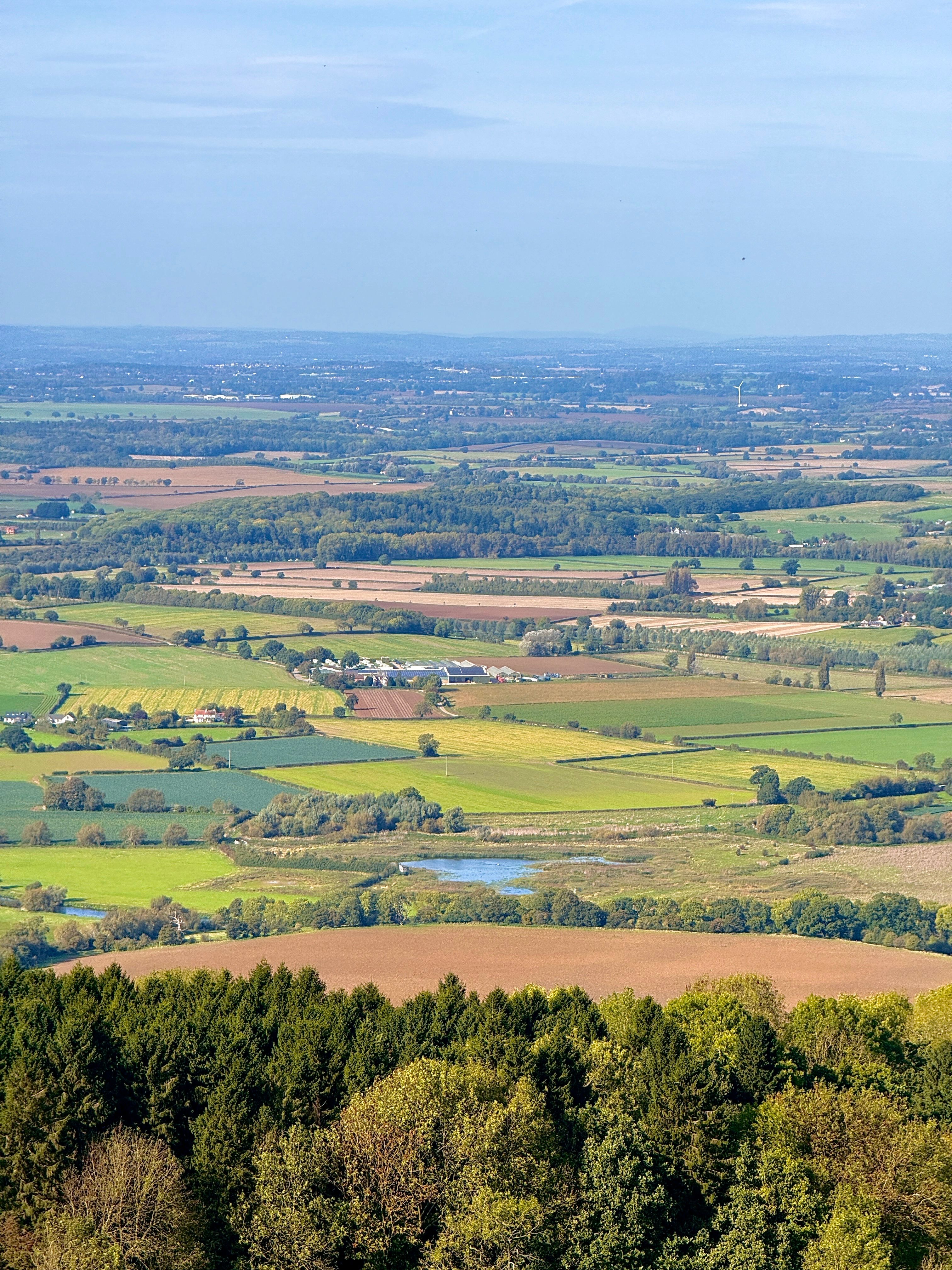Expansive Aerial View of Vibrant Countryside Landscape · Free Stock Photo