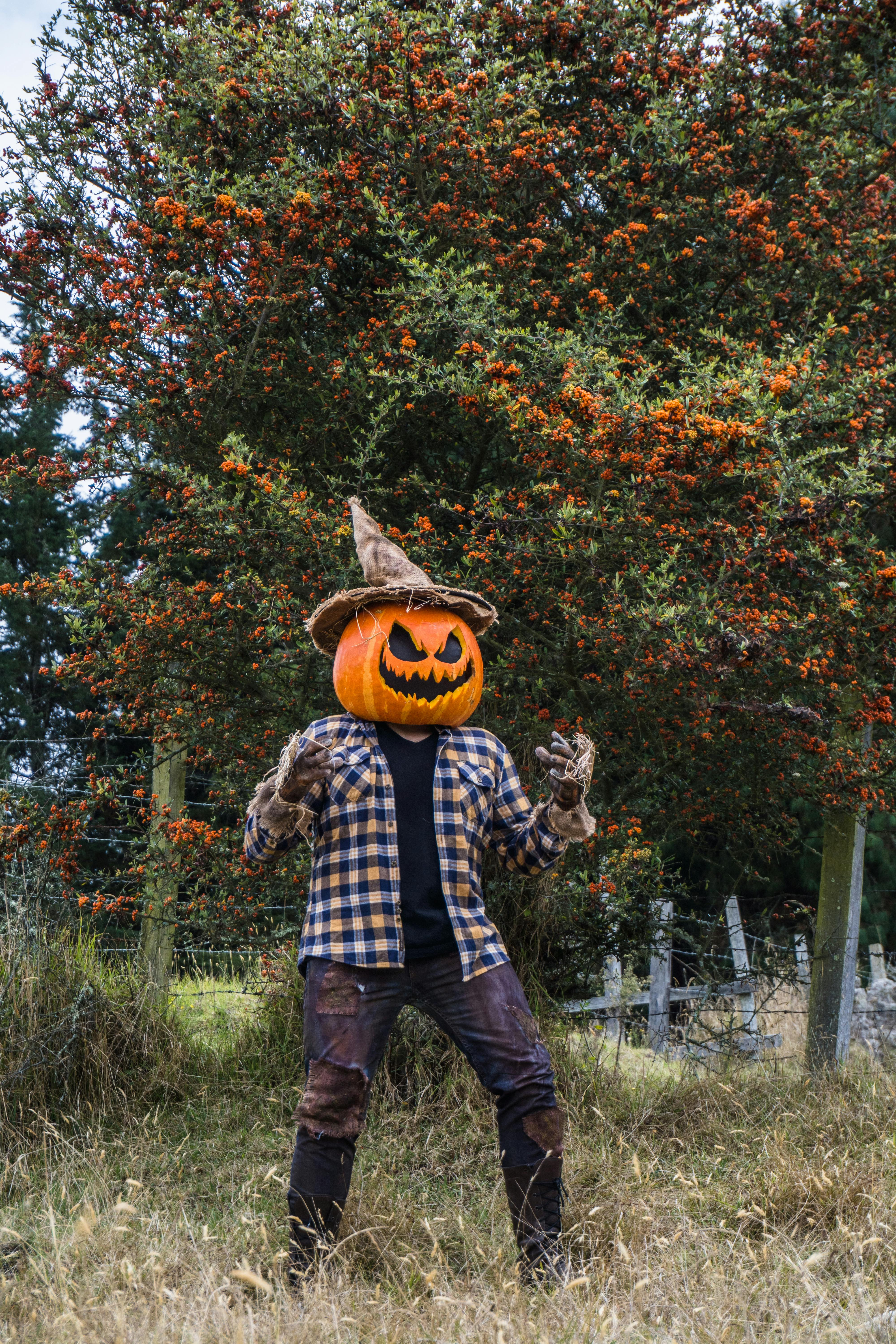 Spooky Pumpkin Head Costume in Autumn Setting · Free Stock Photo