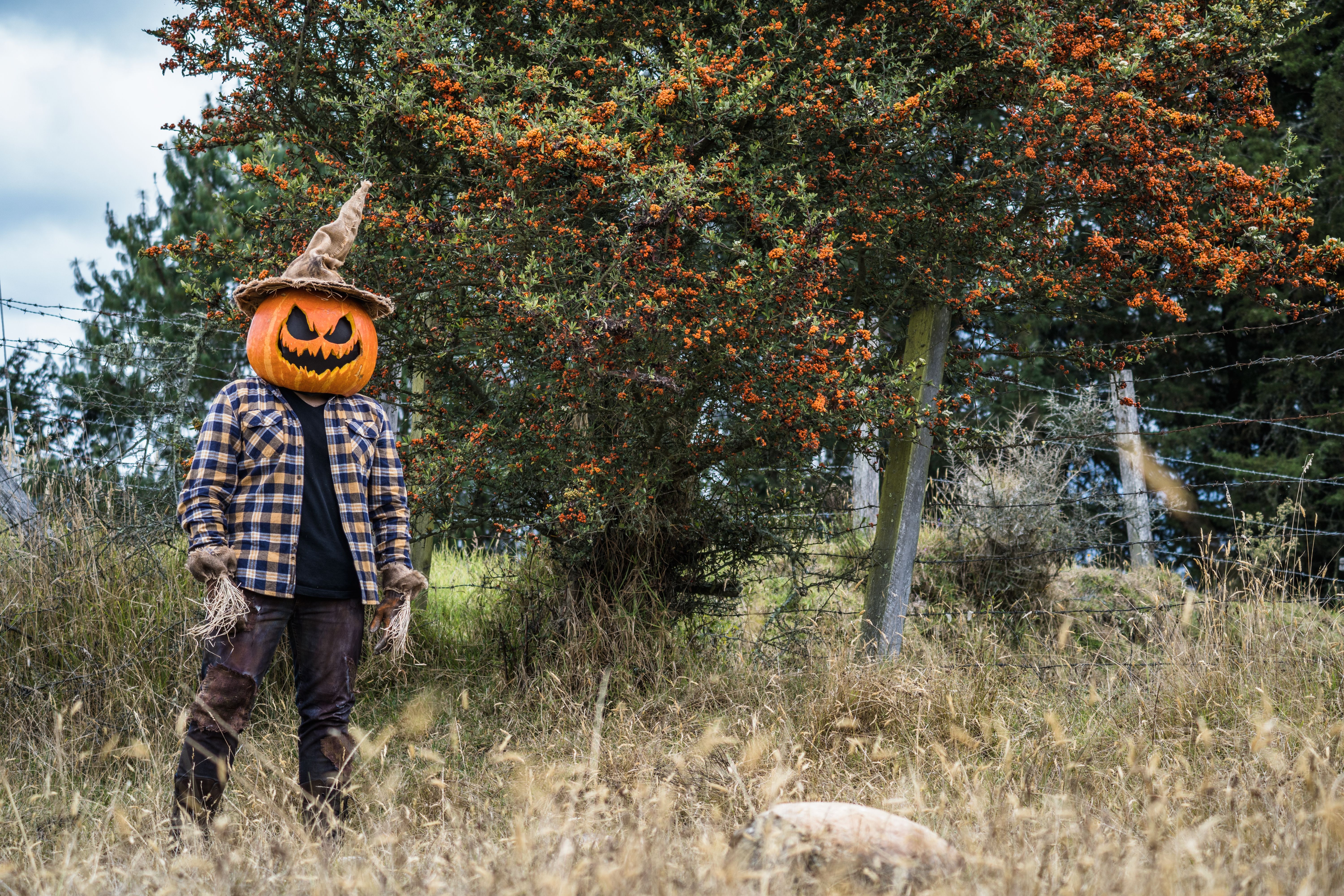 Horror Scenery Photos, Download The BEST Free Horror Scenery Stock ...