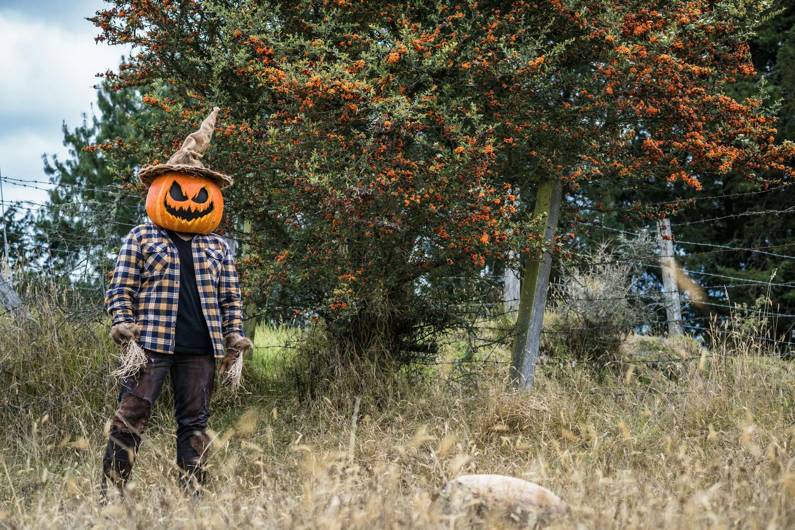 Scarecrow Photos, Download The BEST Free Scarecrow Stock Photos & HD Images