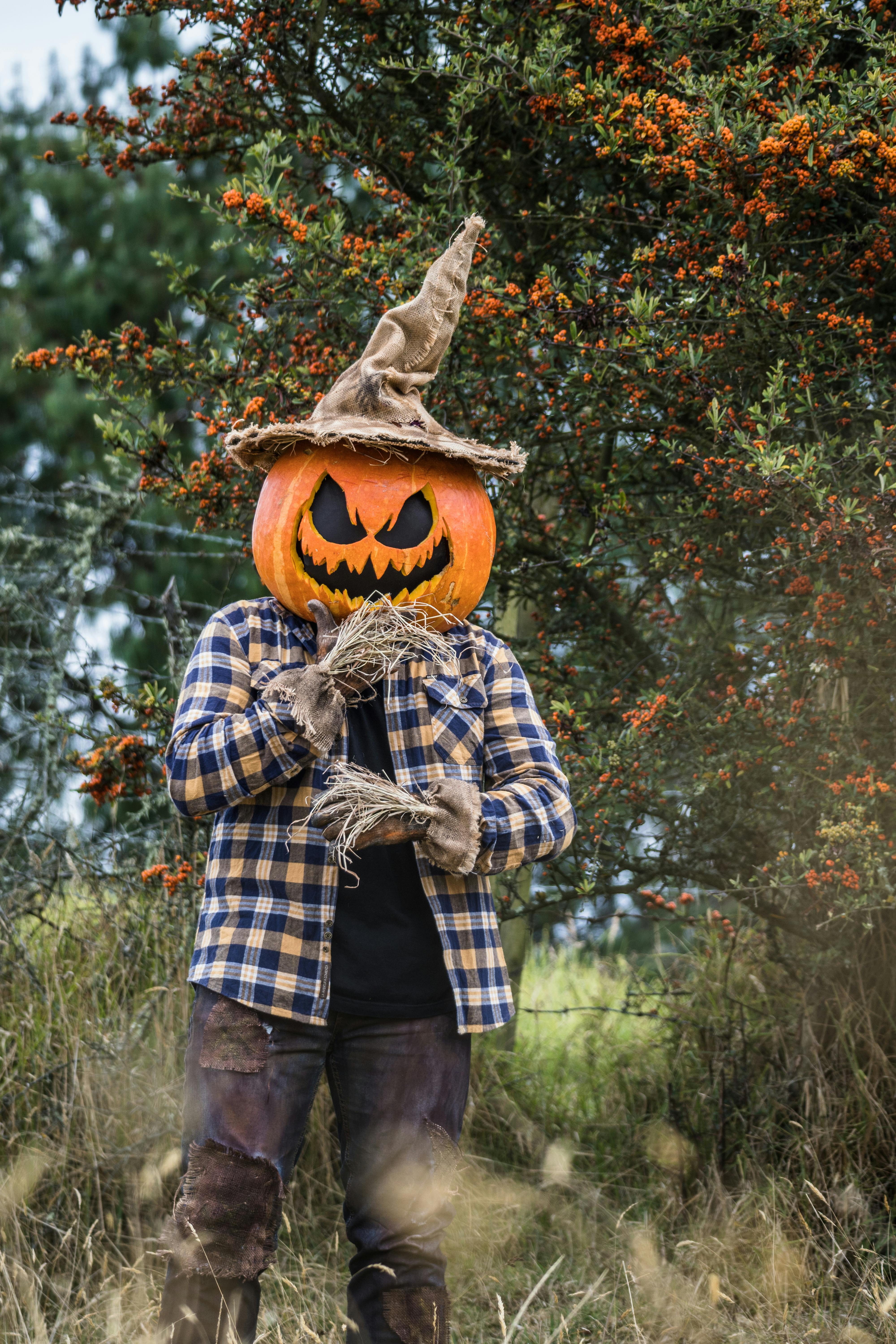 Patch Uri Photos, Download The BEST Free Patch Uri Stock Photos & HD Images