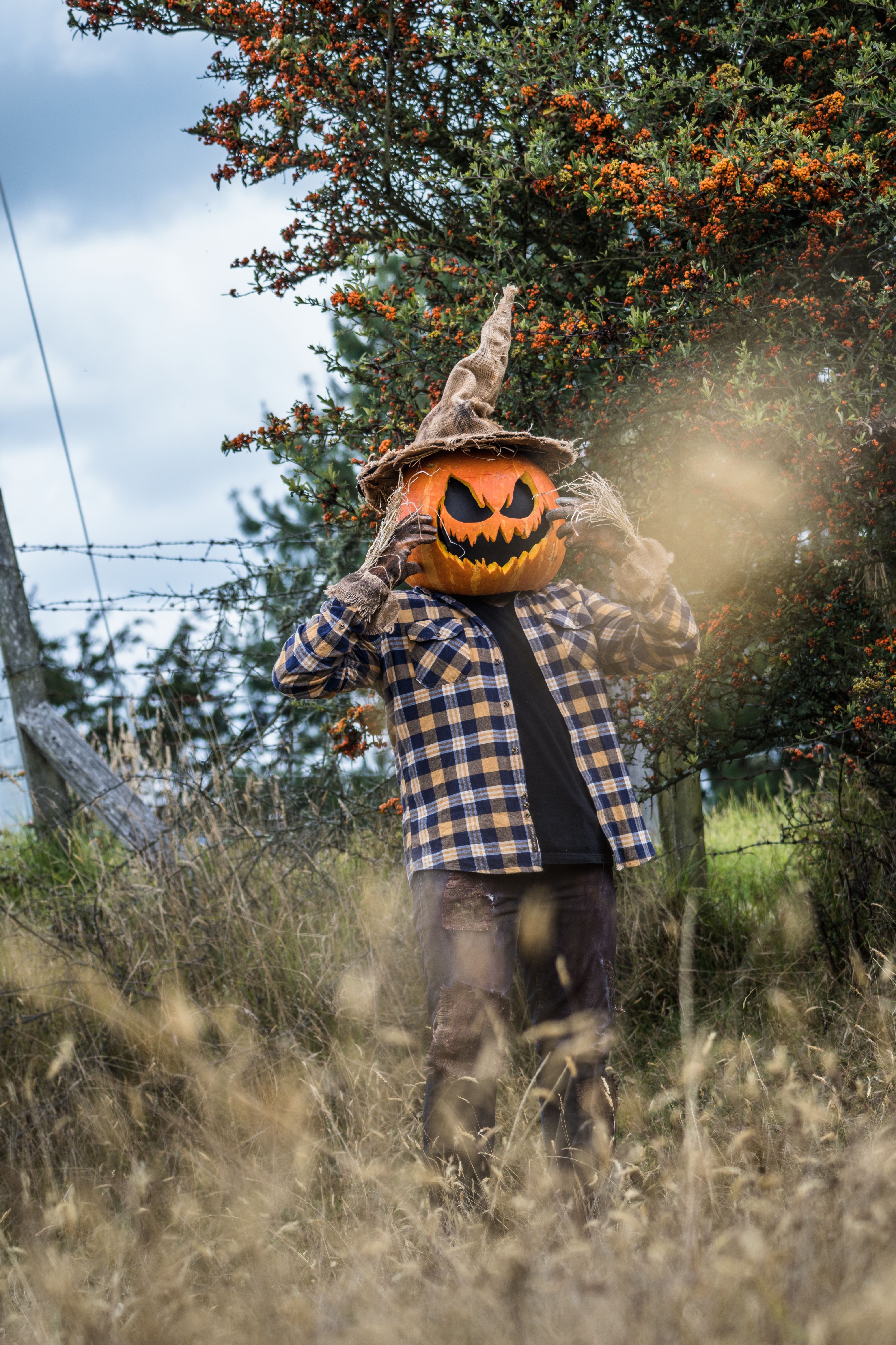 Scarecrow in a Field with Pumpkin Head · Free Stock Photo