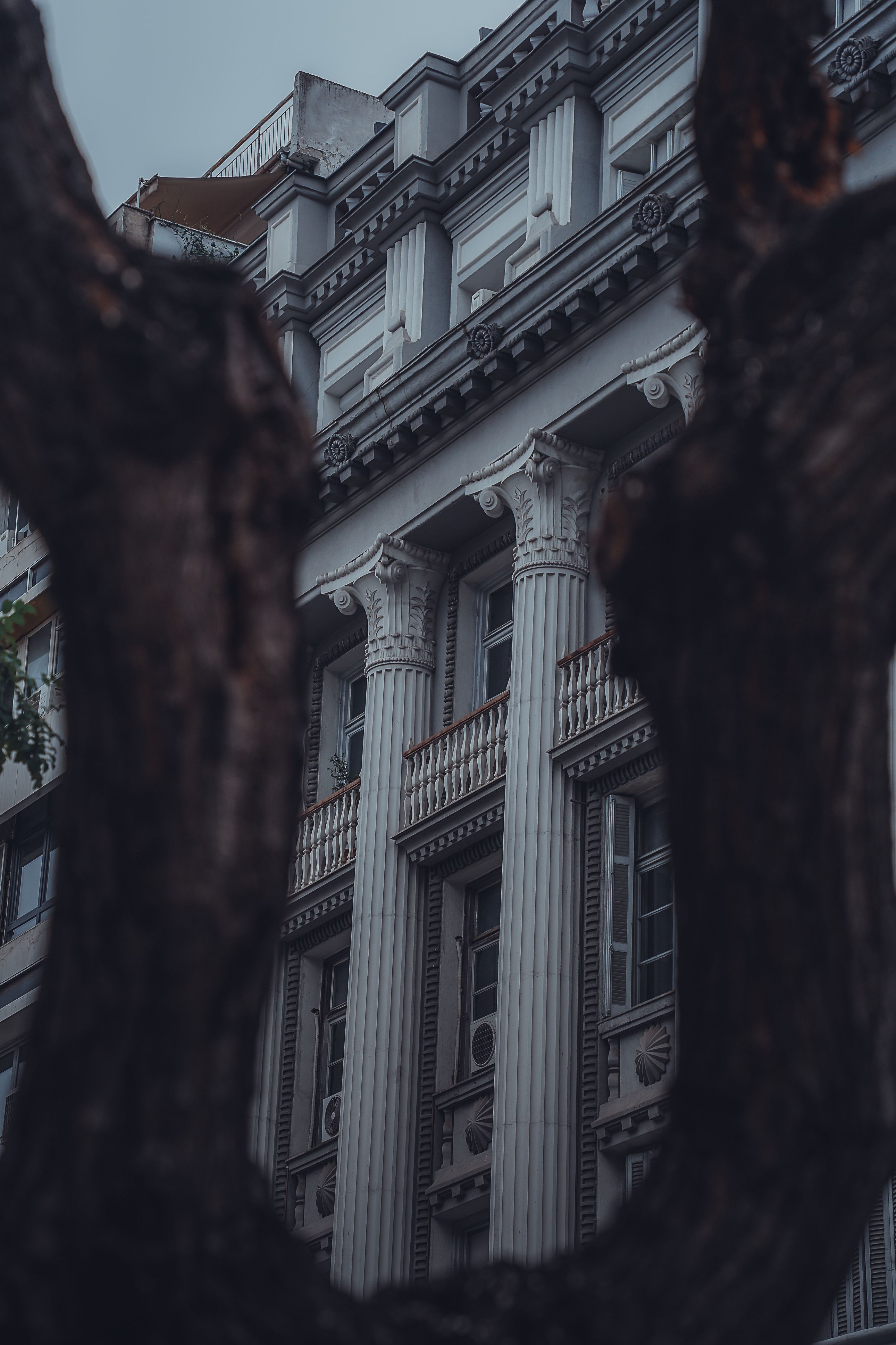 Classic Architectural Facade through Tree Frame · Free Stock Photo