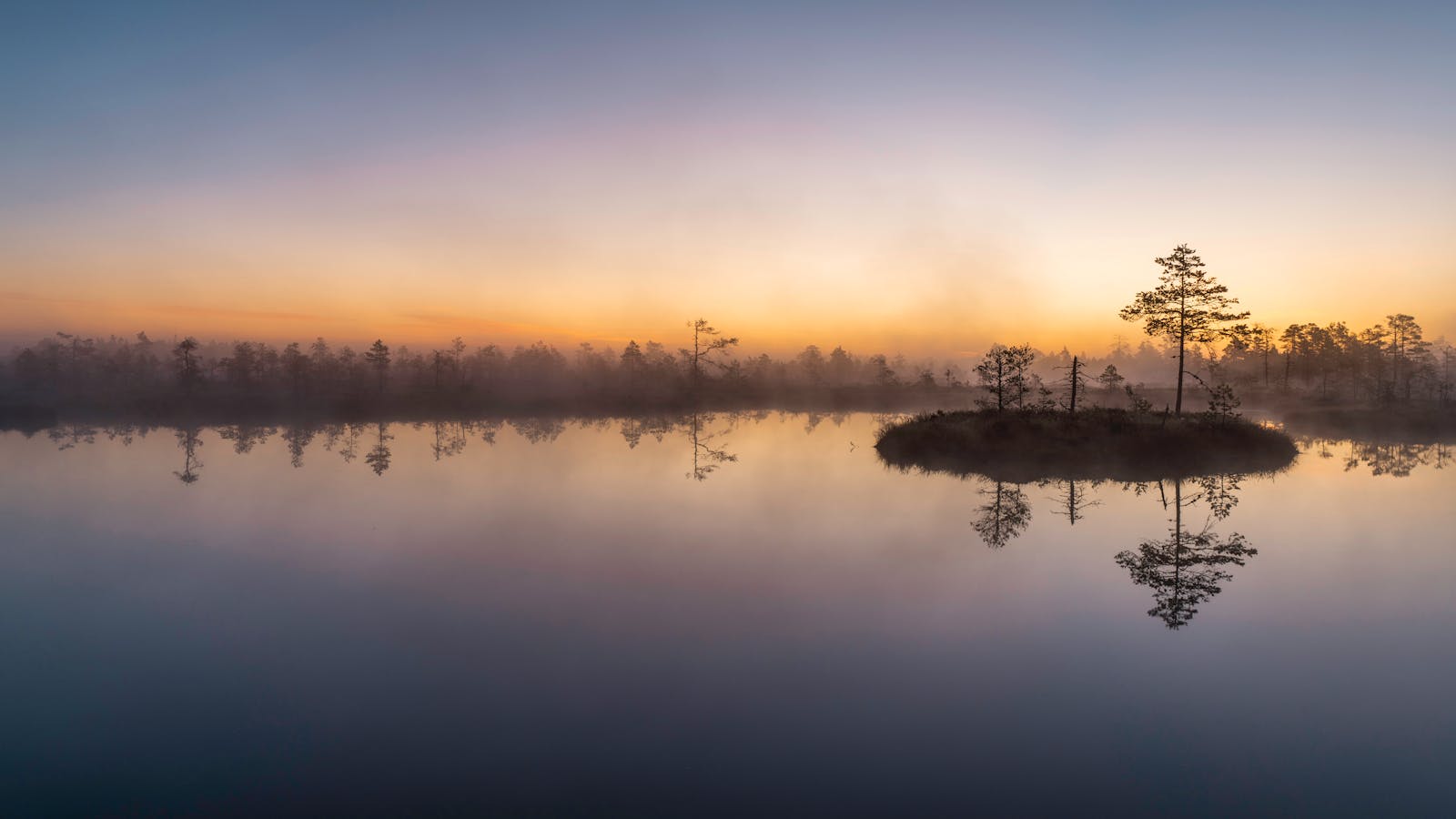 Bog Photos, Download The BEST Free Bog Stock Photos & HD Images