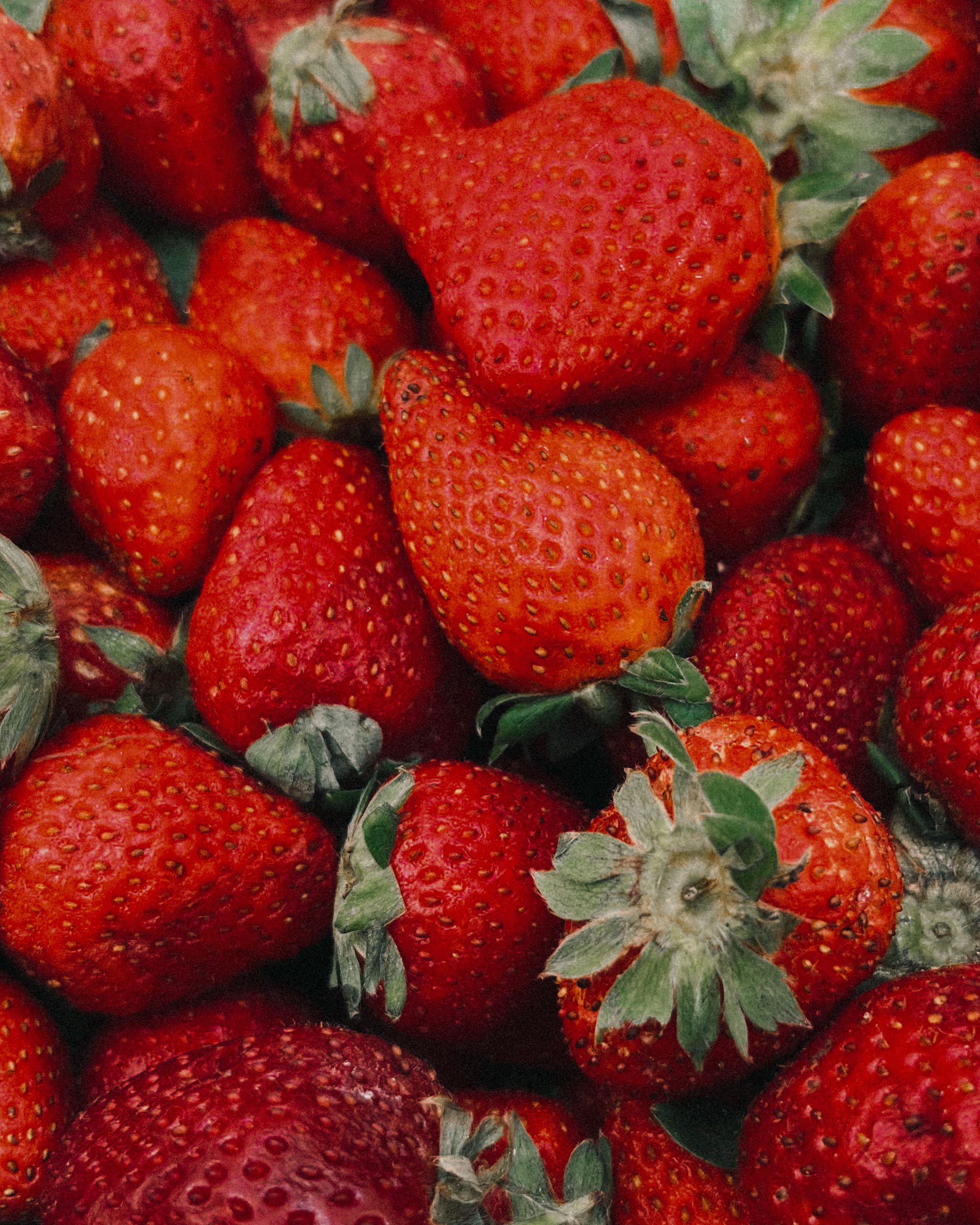Red Strawberries on in Close Up Shot · Free Stock Photo