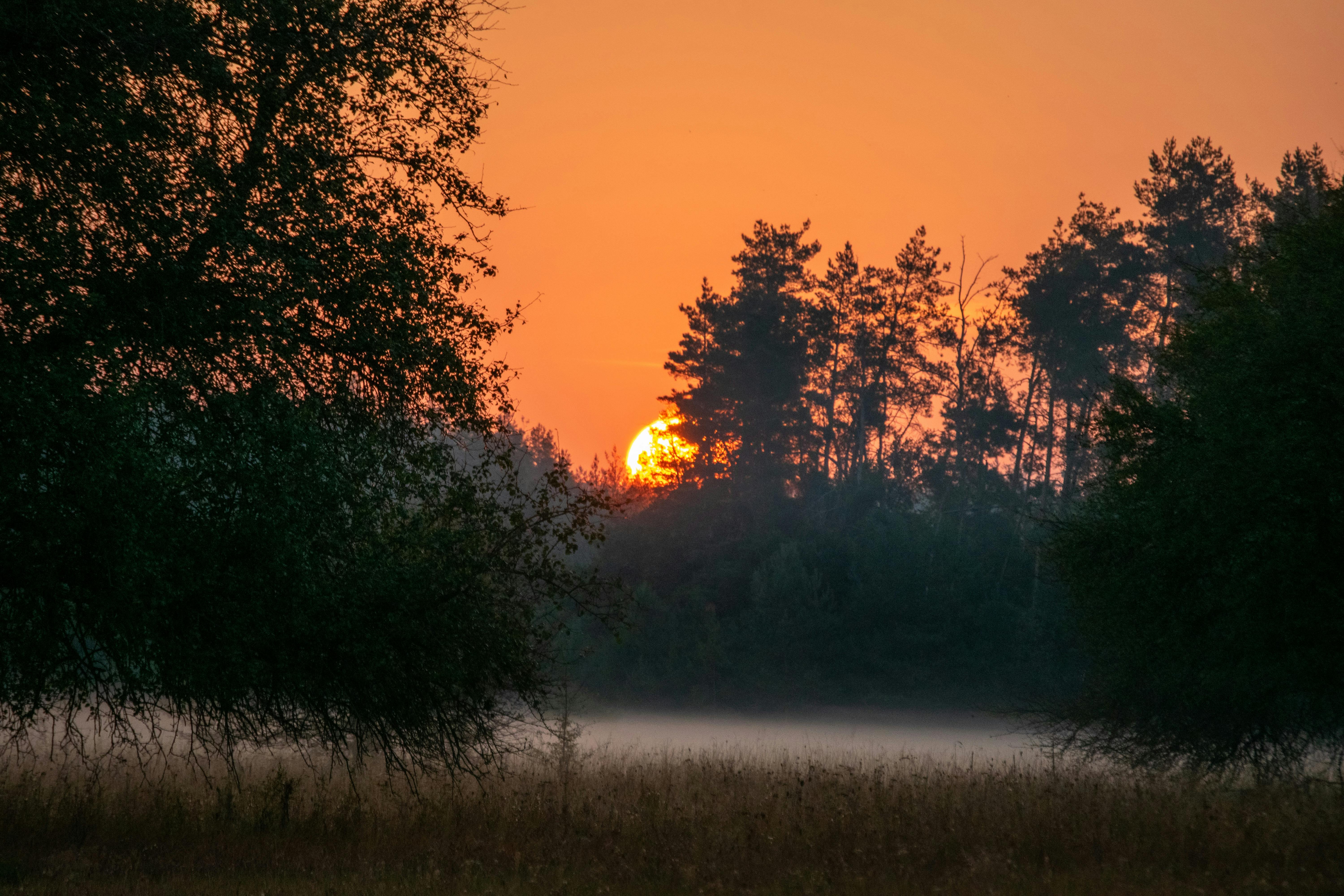 Tint Misty Photos, Download The BEST Free Tint Misty Stock Photos & HD ...