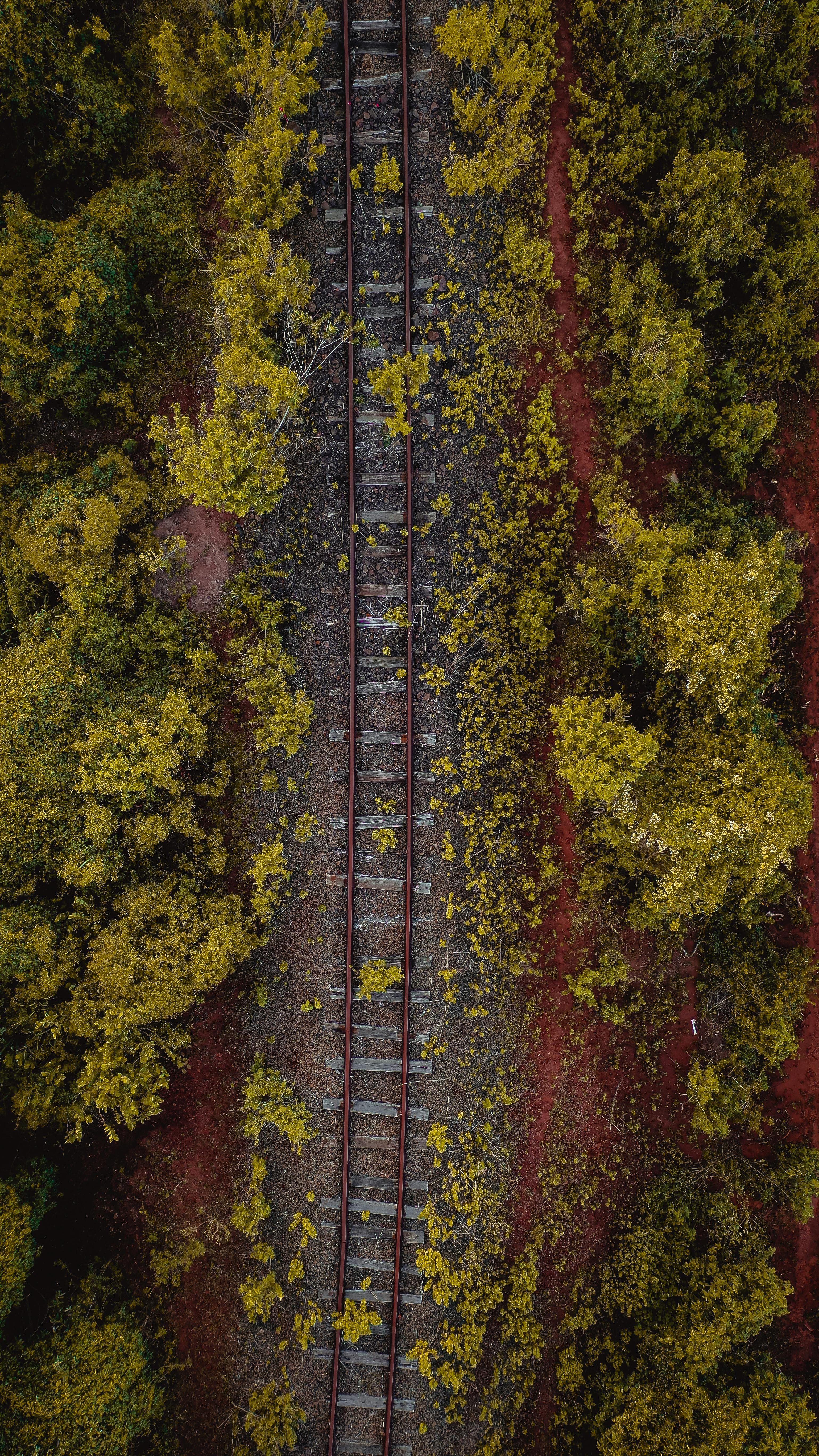 Rust Red Soil Photos, Download The BEST Free Rust Red Soil Stock Photos ...