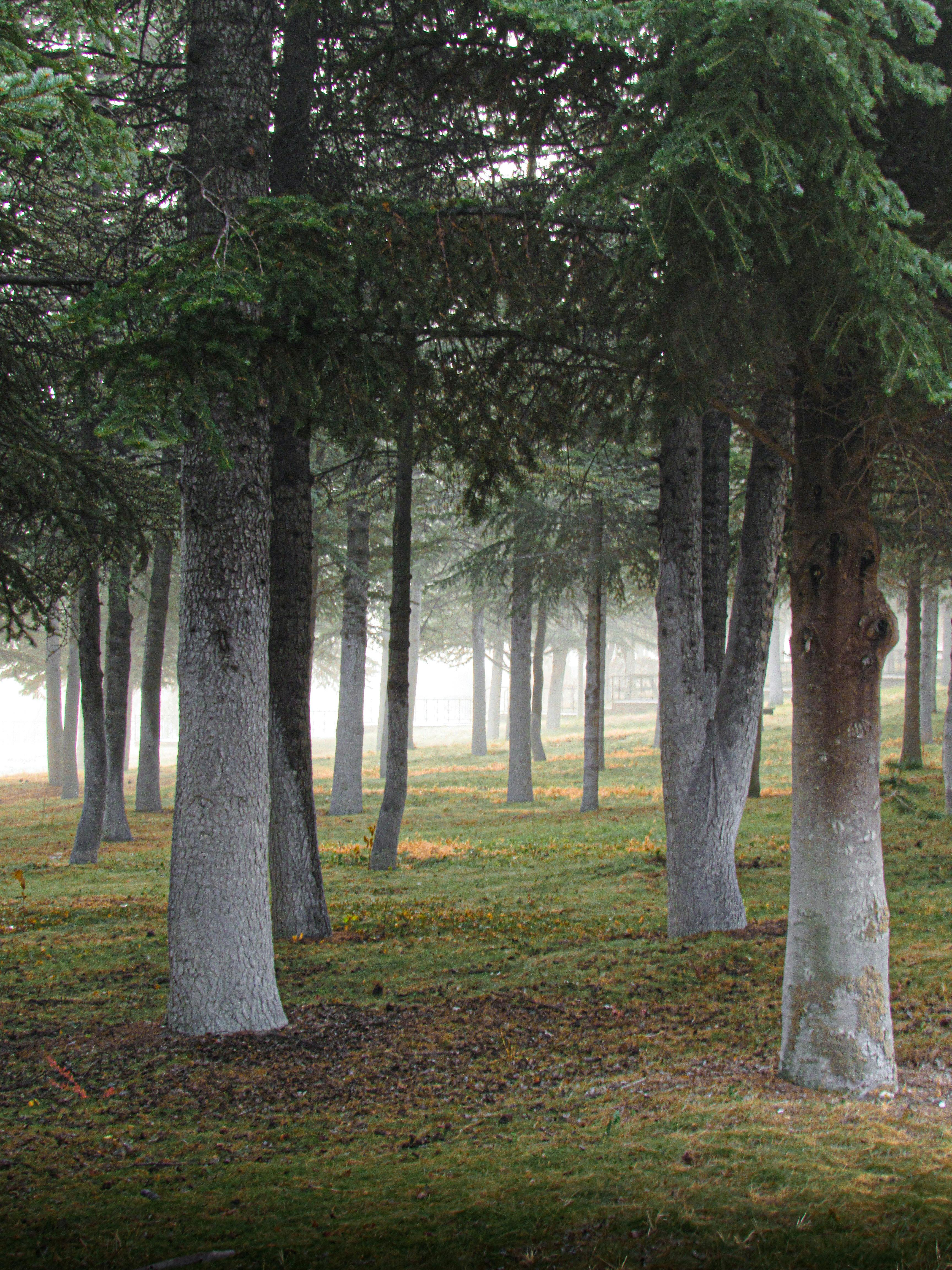 Goalie Zrelie Damp Photos, Download The BEST Free Goalie Zrelie Damp ...