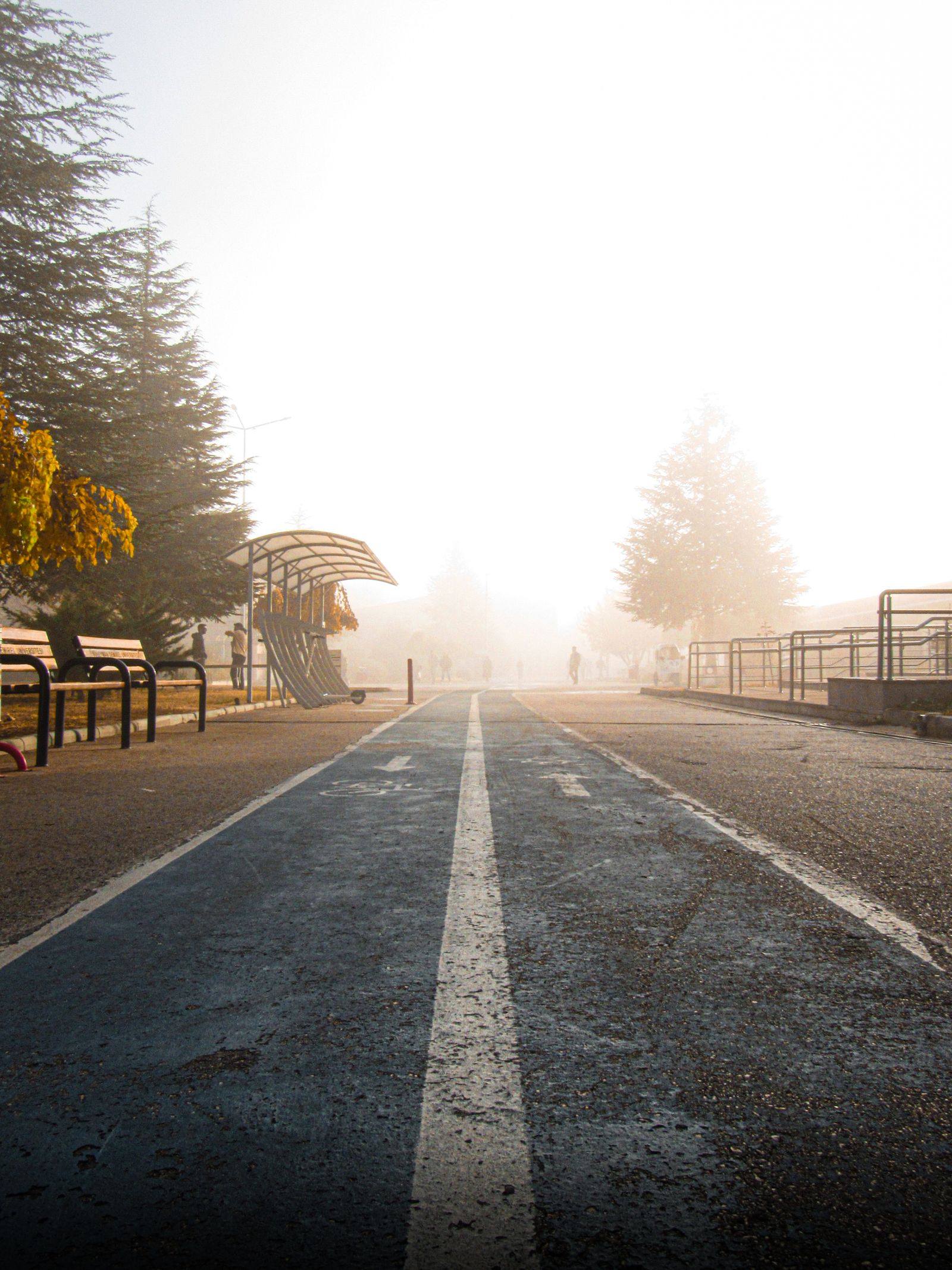 City Park Path Photos, Download The BEST Free City Park Path Stock ...