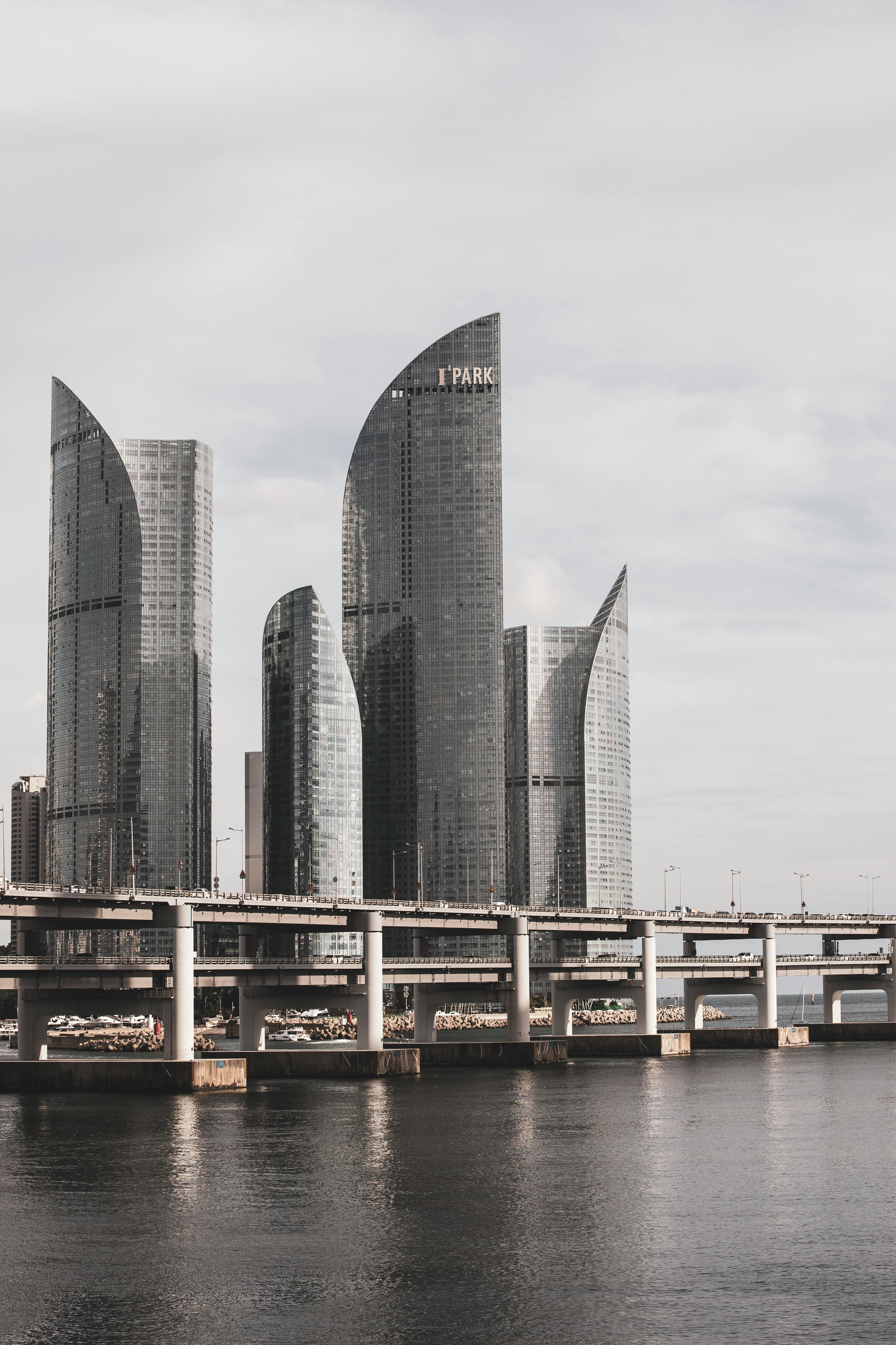 Modern Skyscrapers in Busan Waterfront · Free Stock Photo