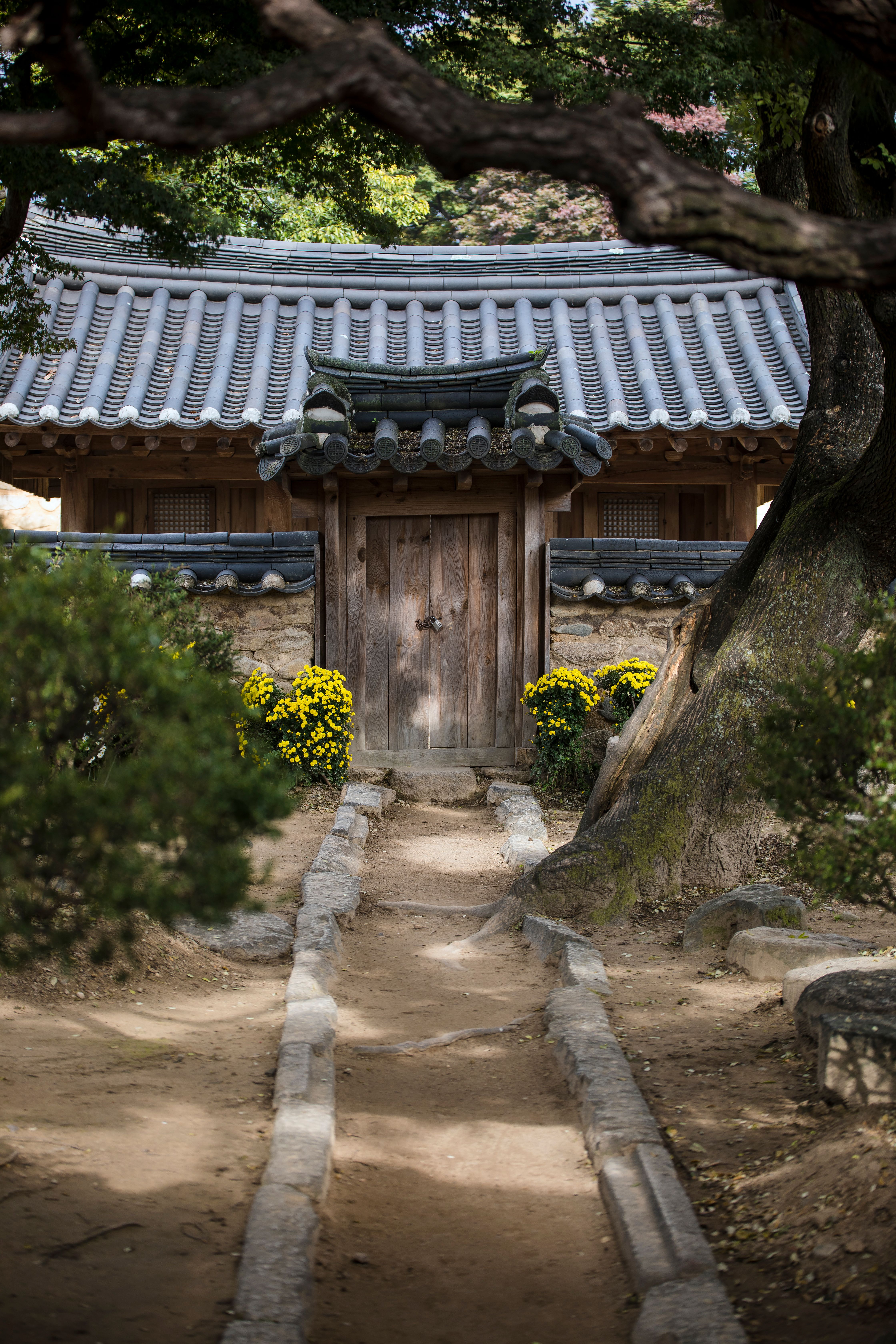 집 밖의 건물 건축 건축 설계 경치 경치가 좋은 계절 고대의 고요한 관광 명소 관목 나무 나뭇잎 노란