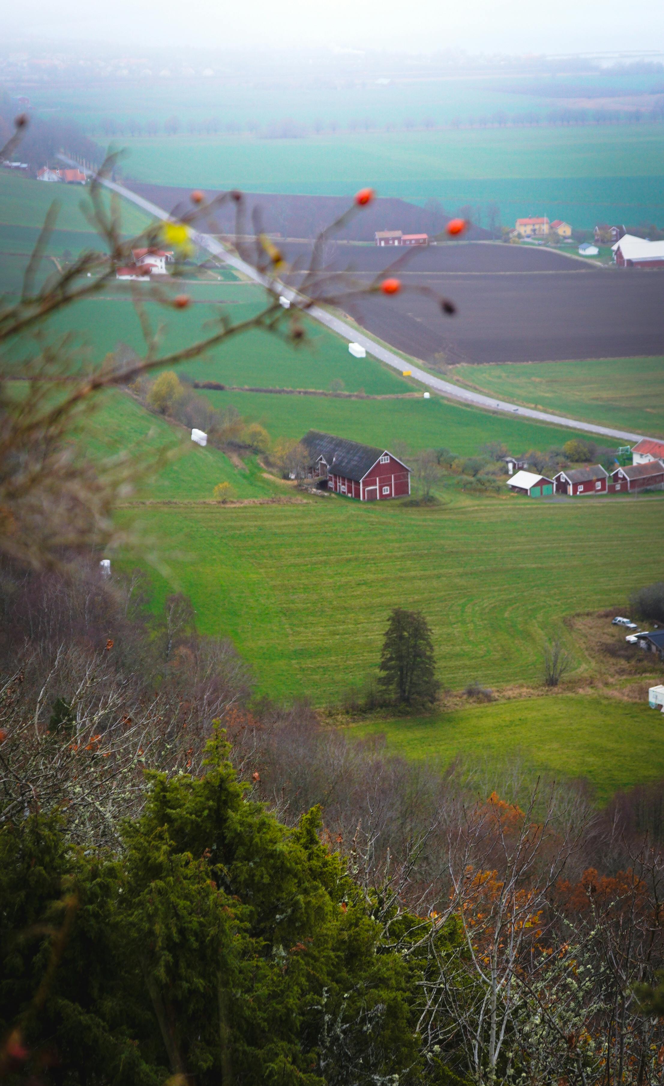 Scenic Countryside View with Red Barns and Fields · Free Stock Photo