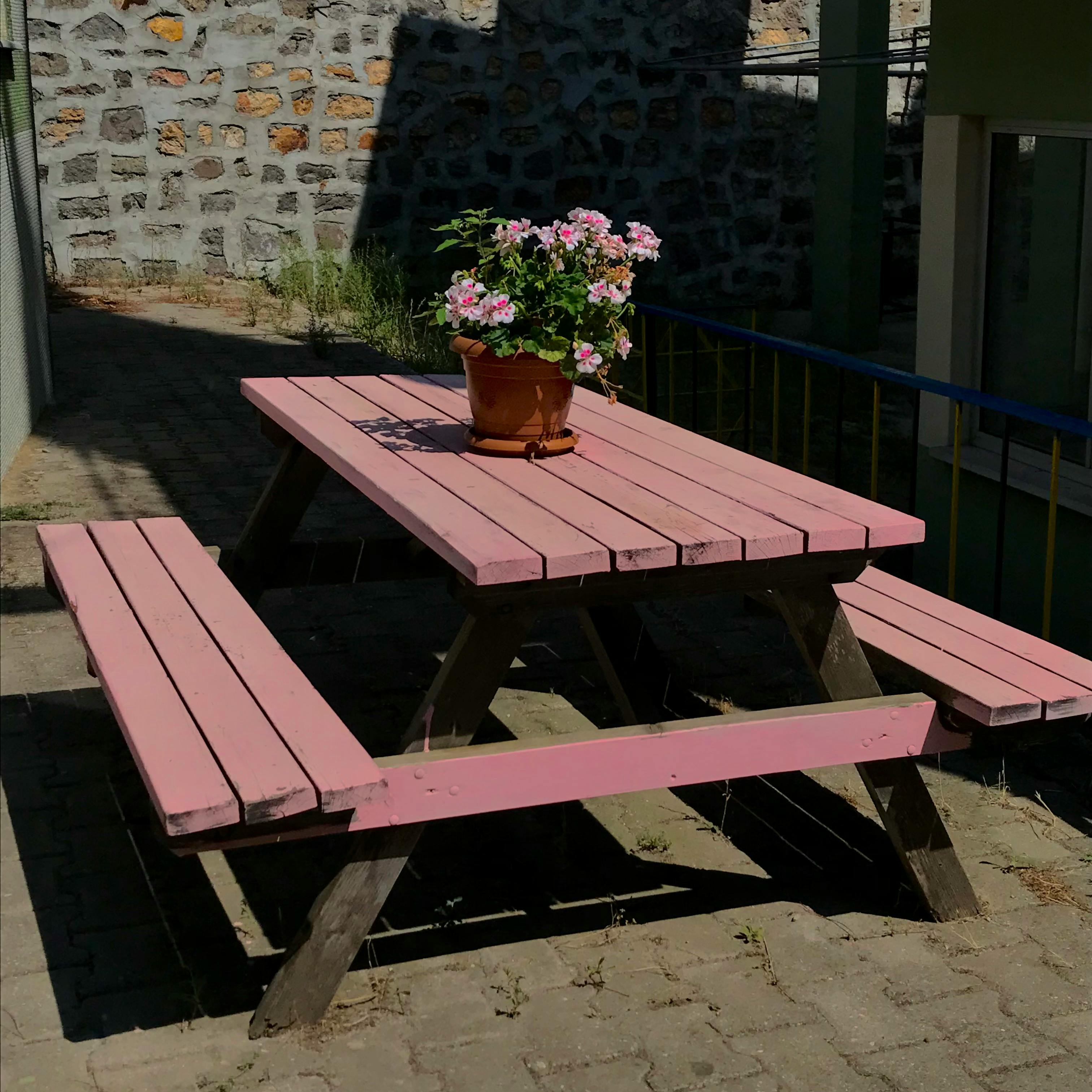 Pink Picnic Table with Potted Flowers Outdoors · Free Stock Photo