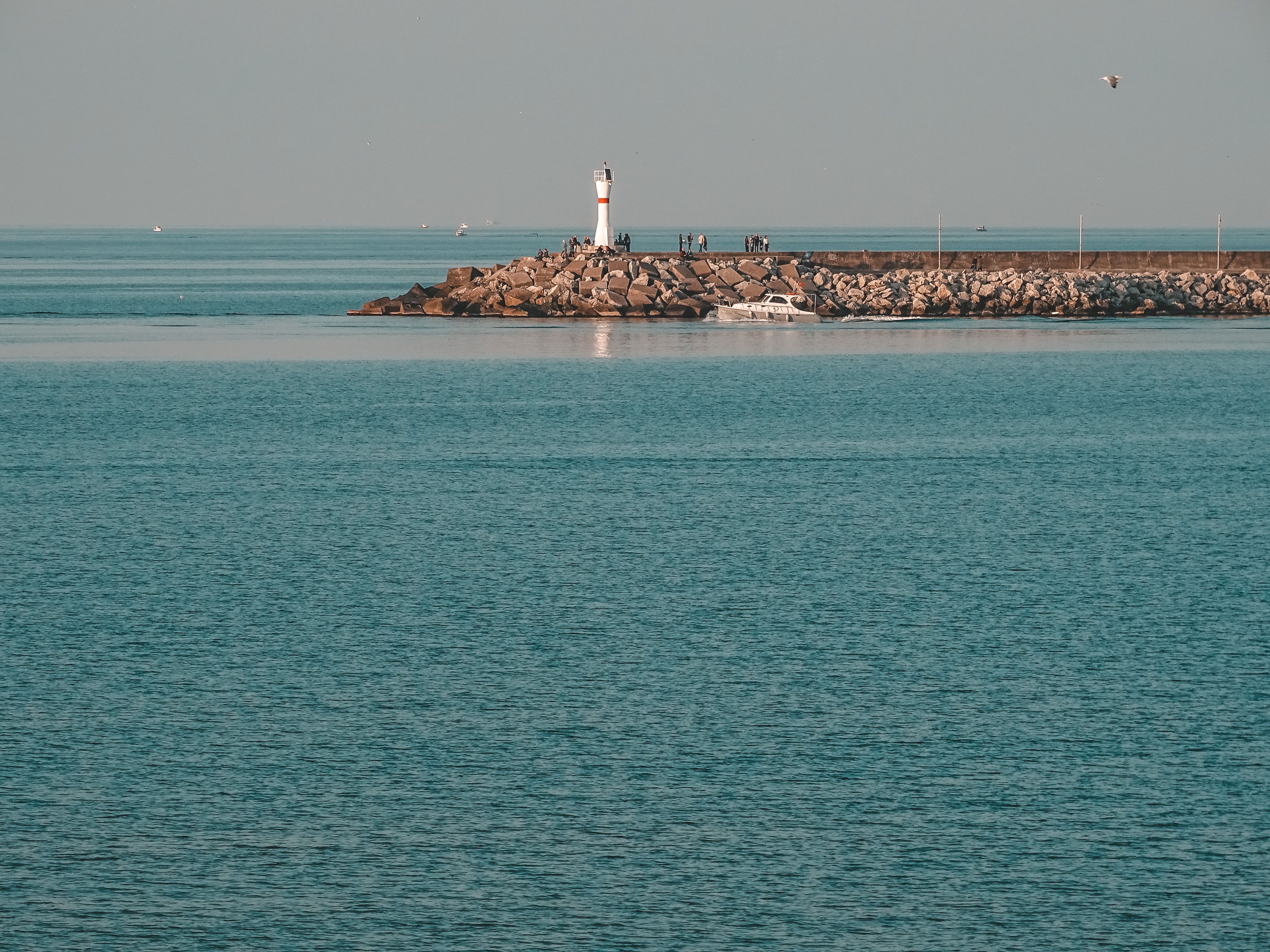 Serene Lighthouse by Calm Sea Daytime View · Free Stock Photo