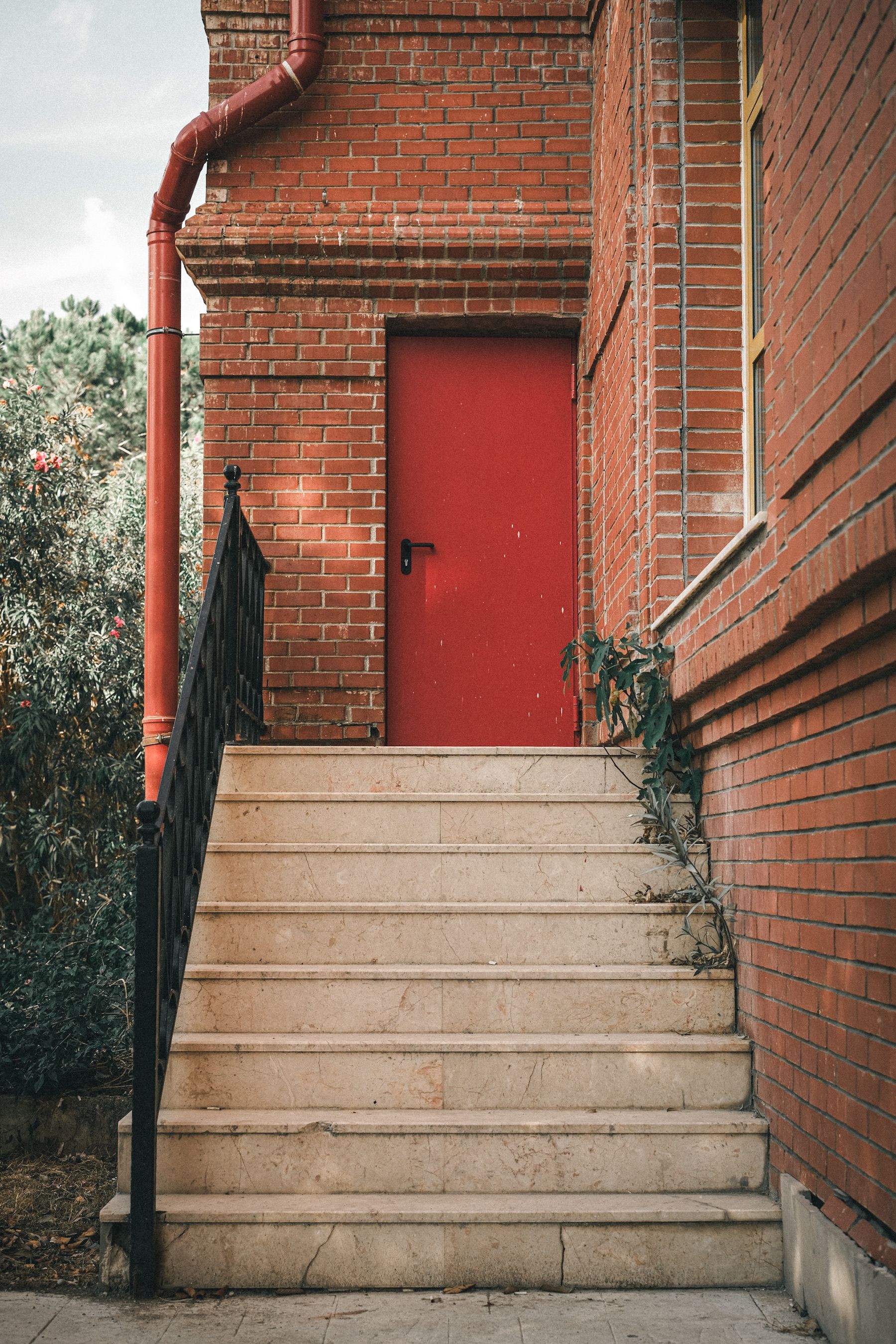Multi Colored Steps of Entrance Stairs · Free Stock Photo