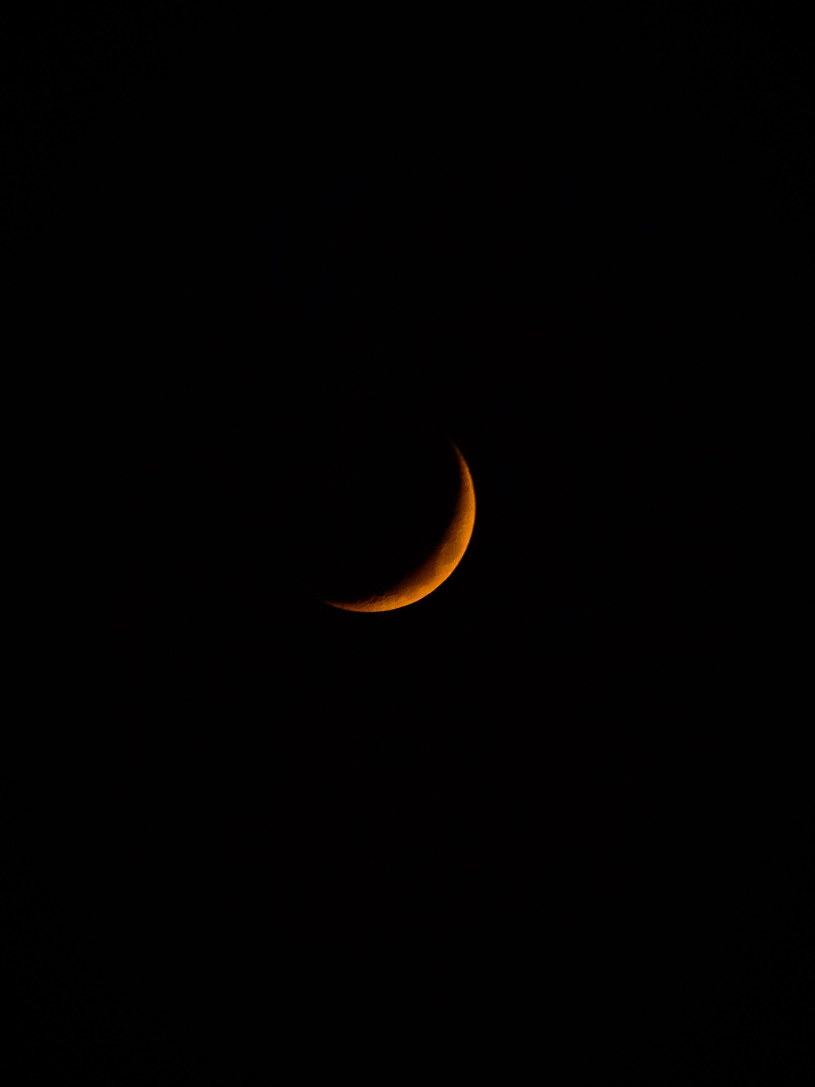 Solar eclipse · Free Stock Photo