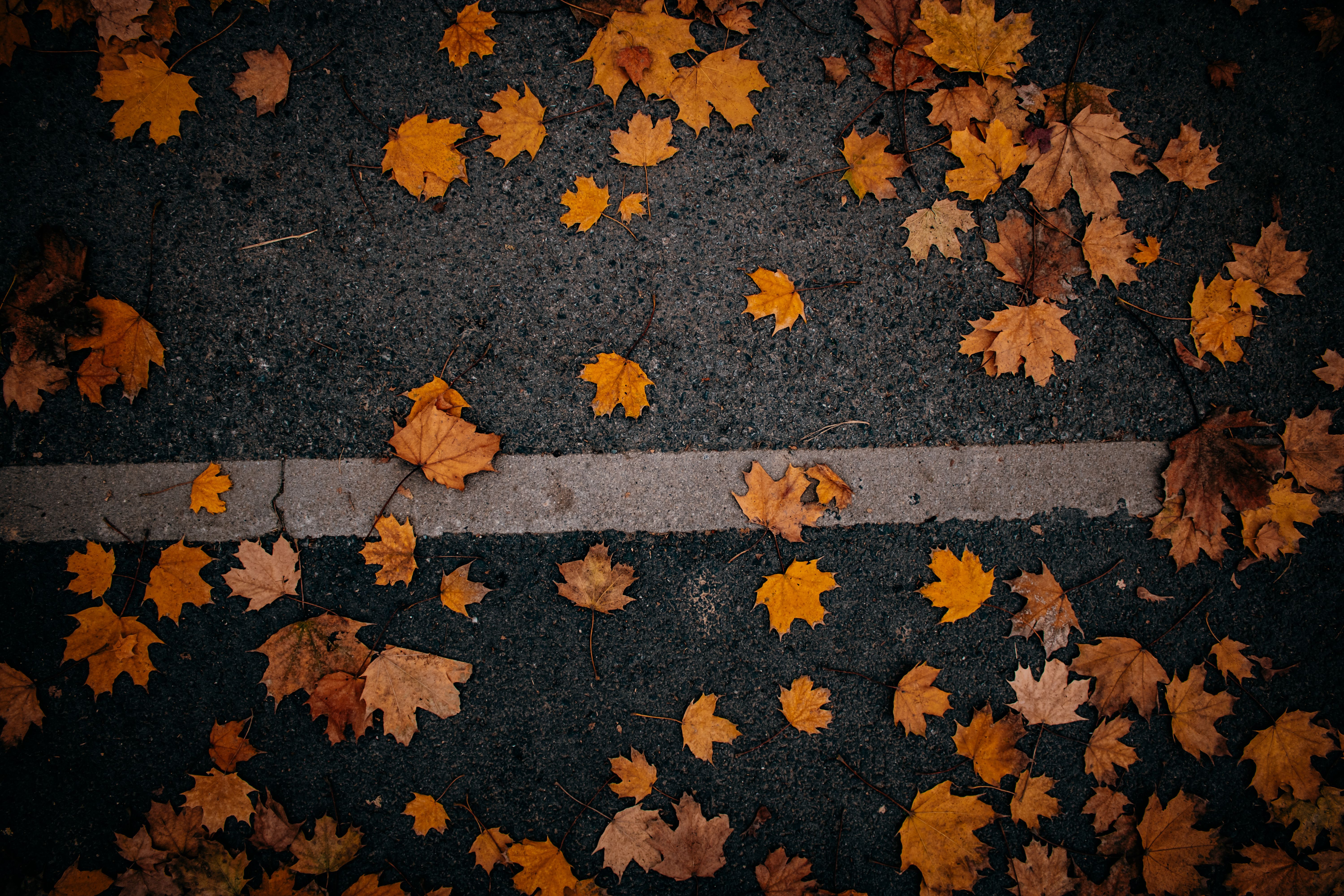 Change Is A Constant Photos, Download The BEST Free Change Is A ...