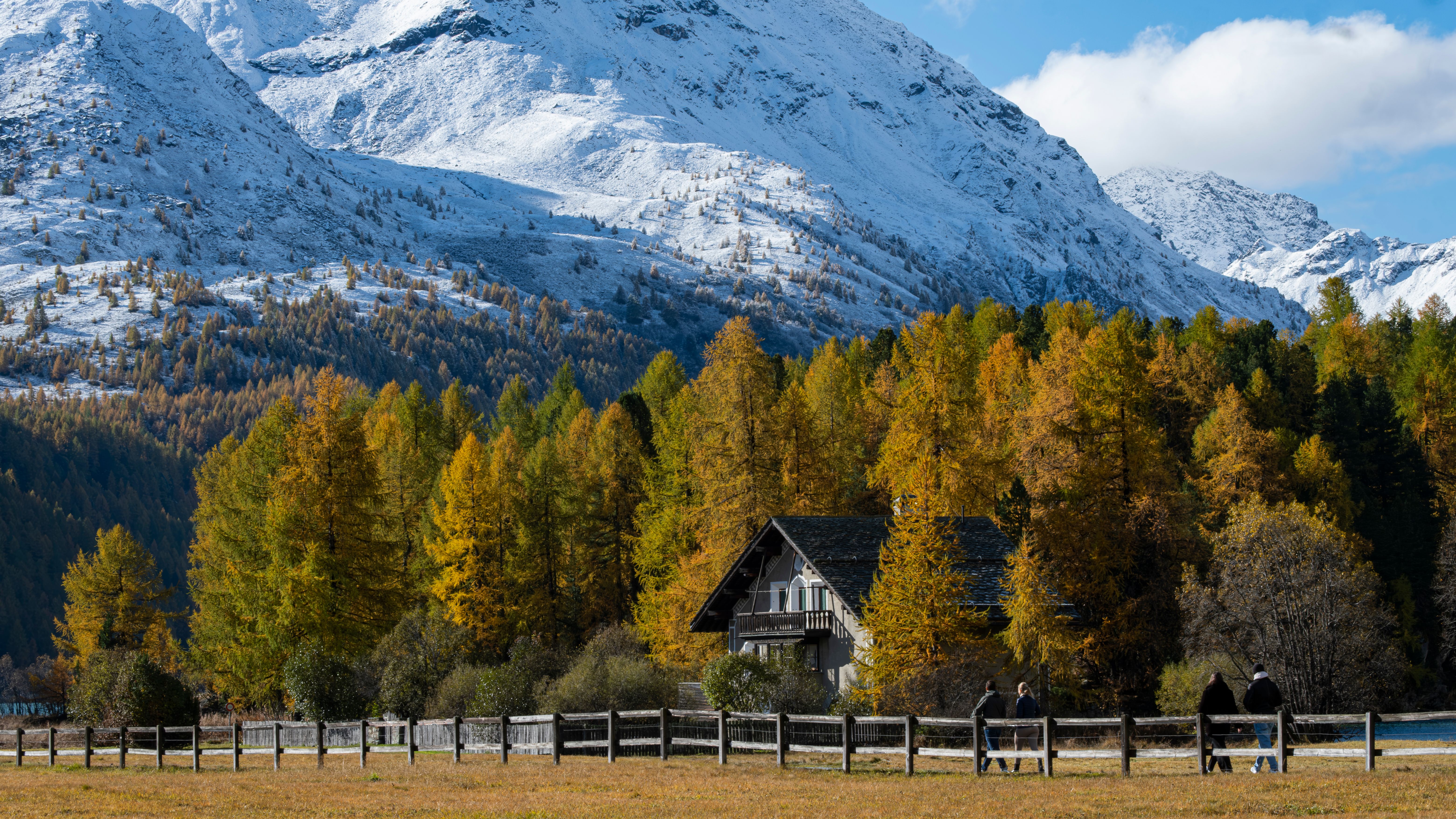 Outono Em Sils Im Engadin Com Alpes Nevados · Foto profissional gratuita