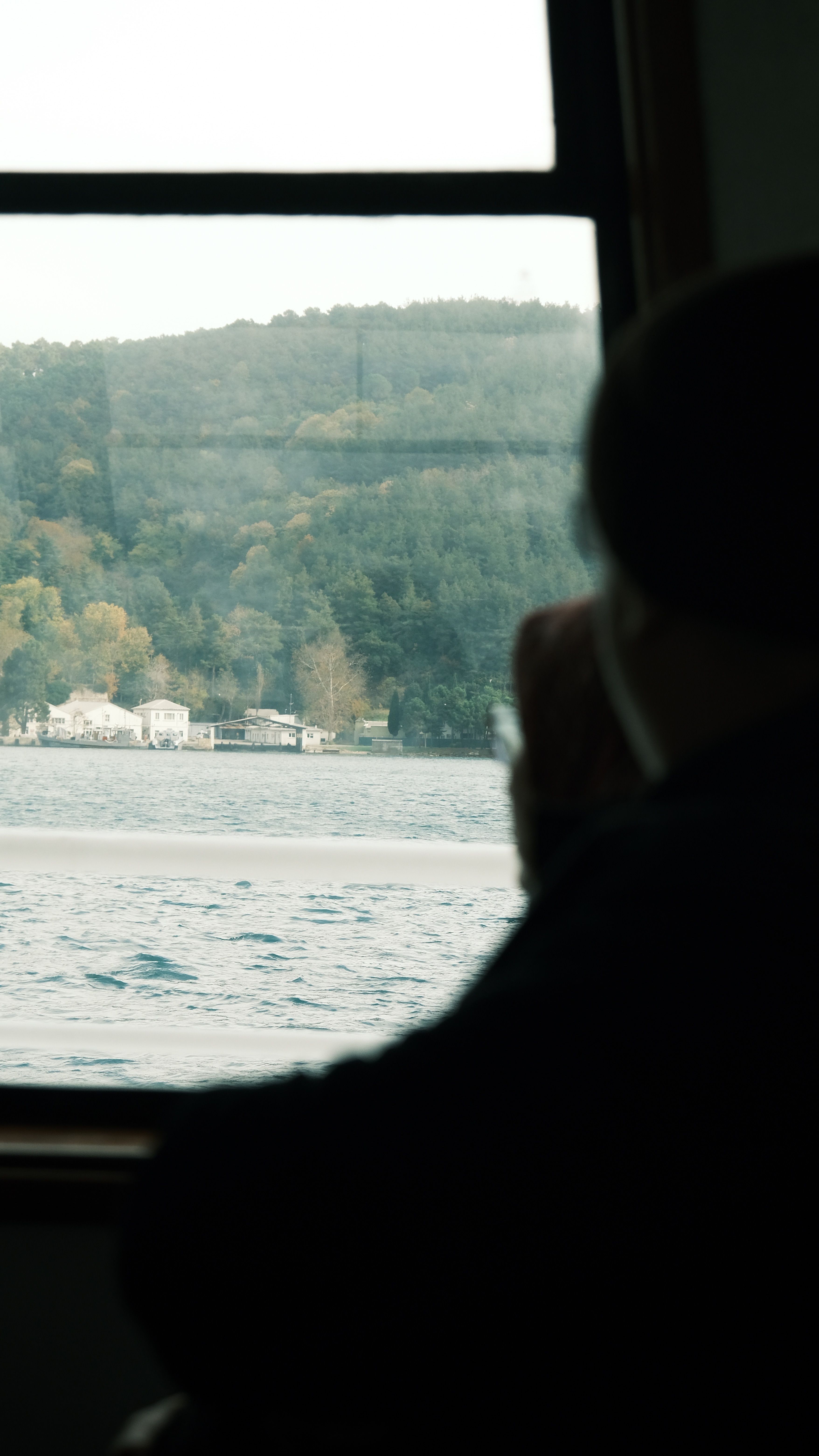 Serene View of Lakeside Houses through a Window · Free Stock Photo