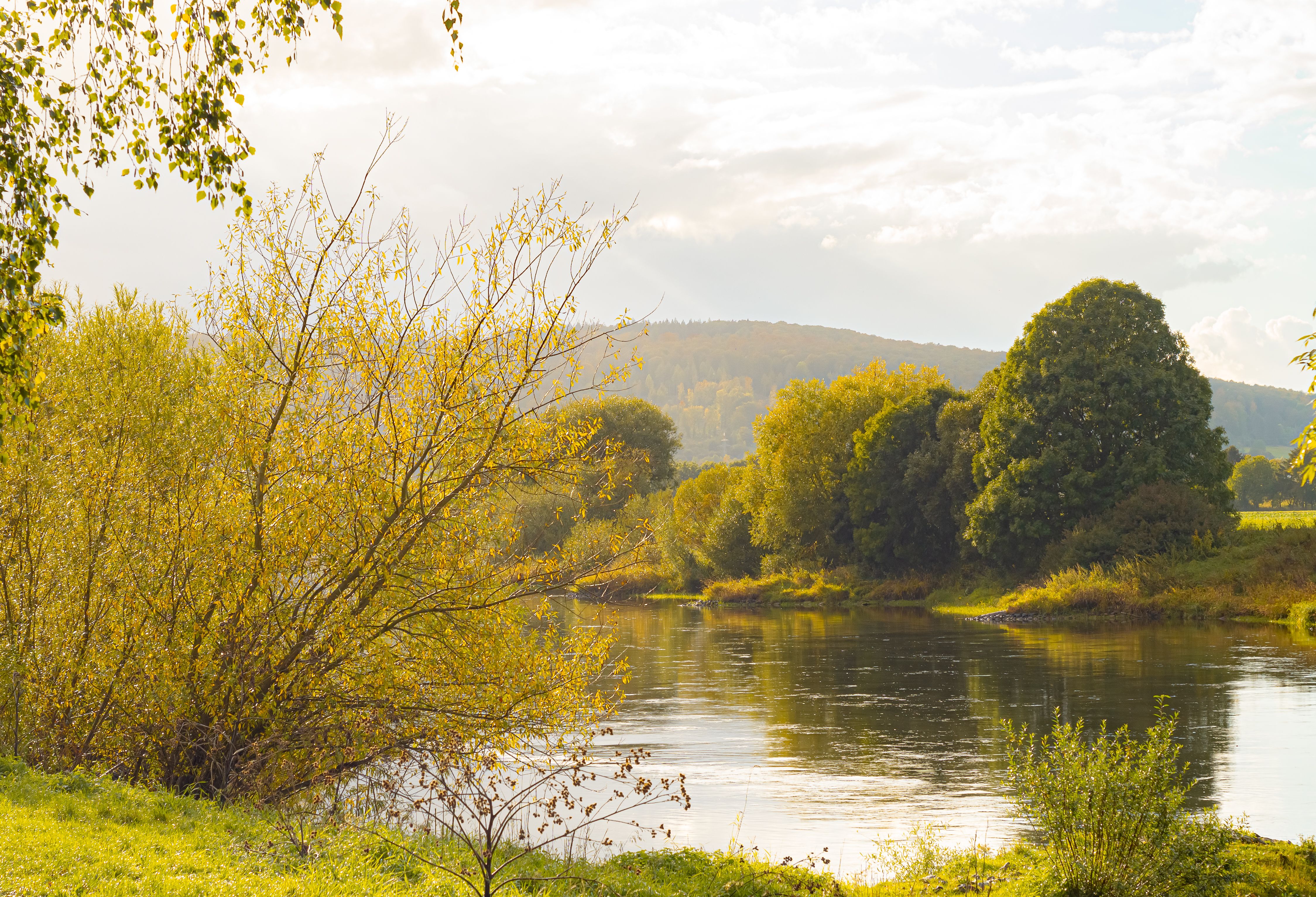 Serene Riverbank Landscape in Early Autumn · Free Stock Photo