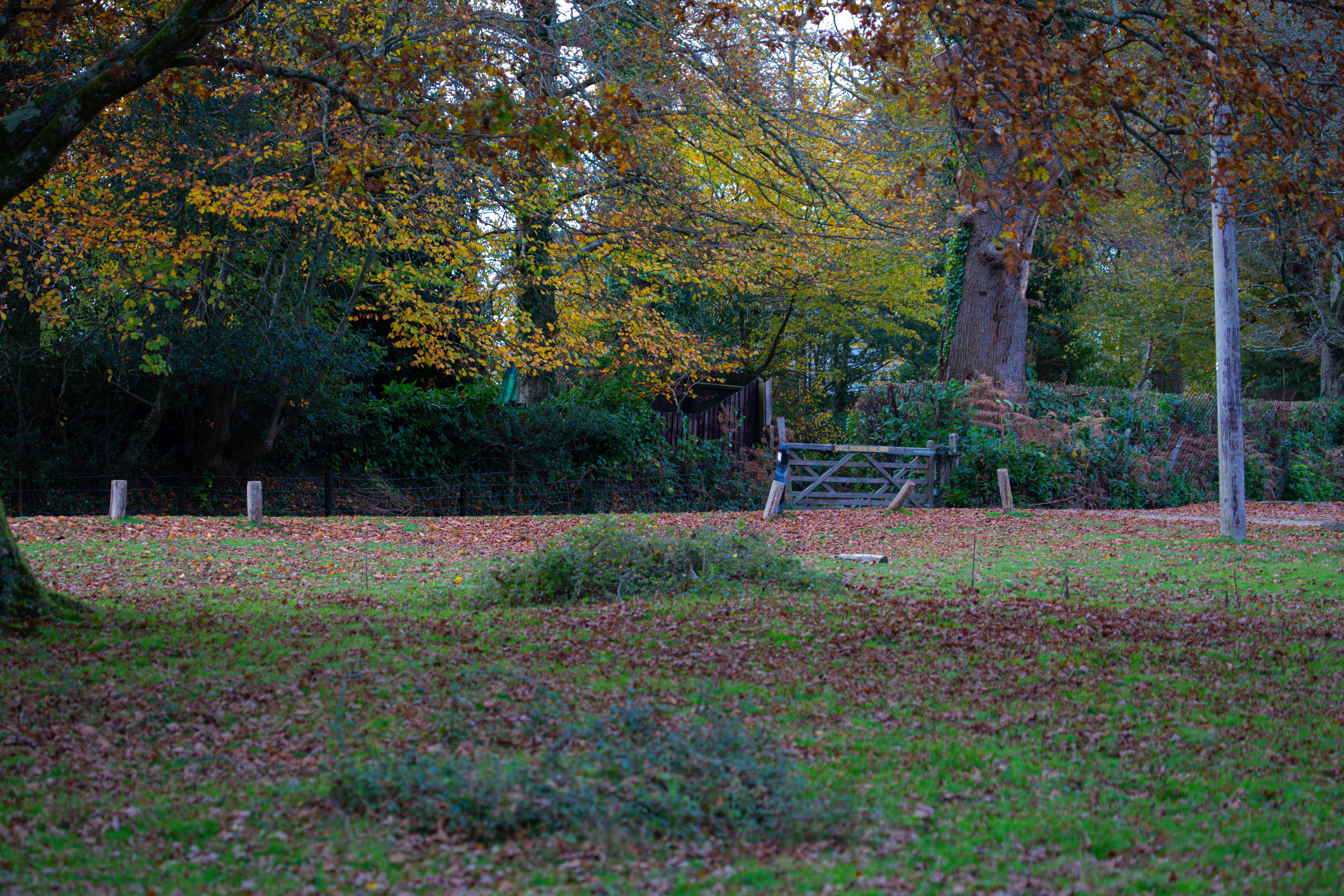 Tranquil Autumn Scene in Bournemouth Park · Free Stock Photo