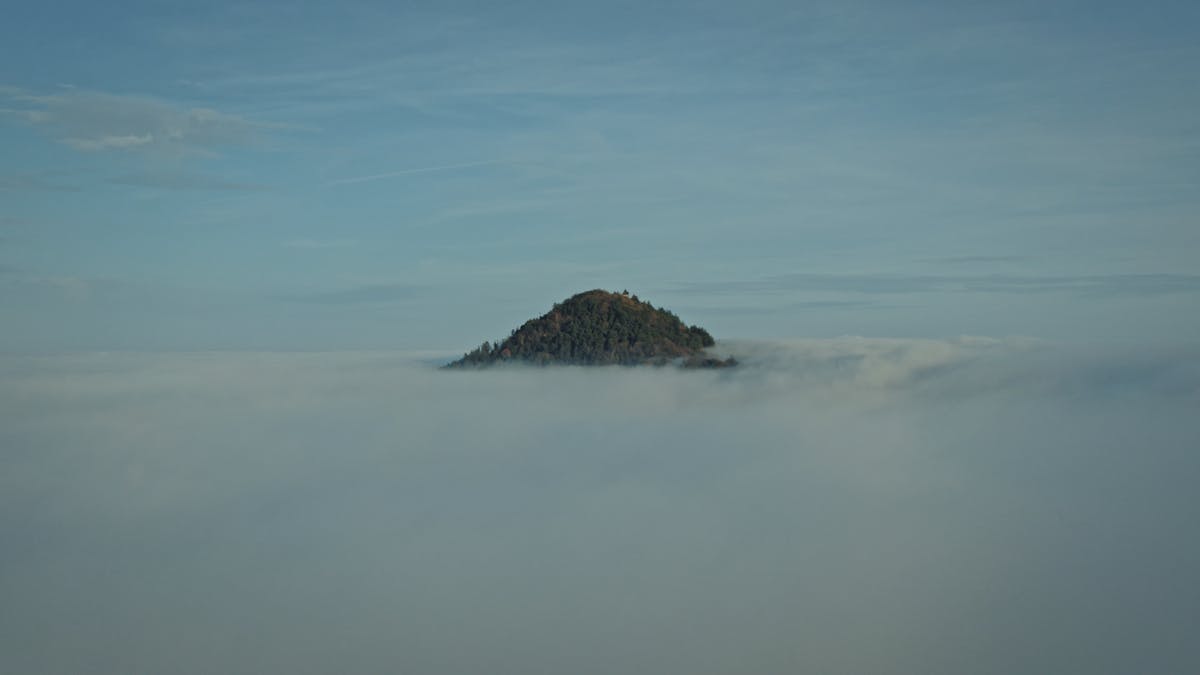 Fog Forest Photos, Download The BEST Free Fog Forest Stock Photos & HD ...