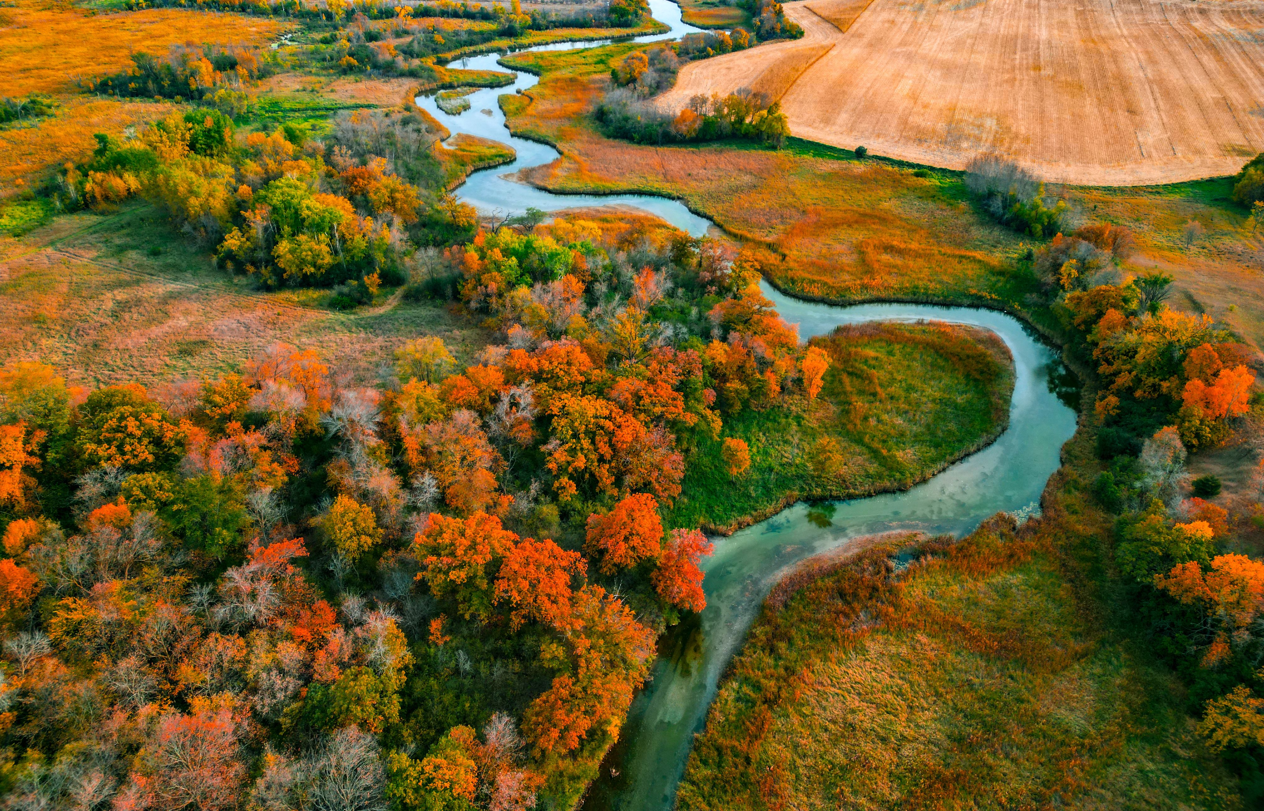 Vibrant Fall Foliage Along Serpentine River in Minnesota · Free Stock Photo