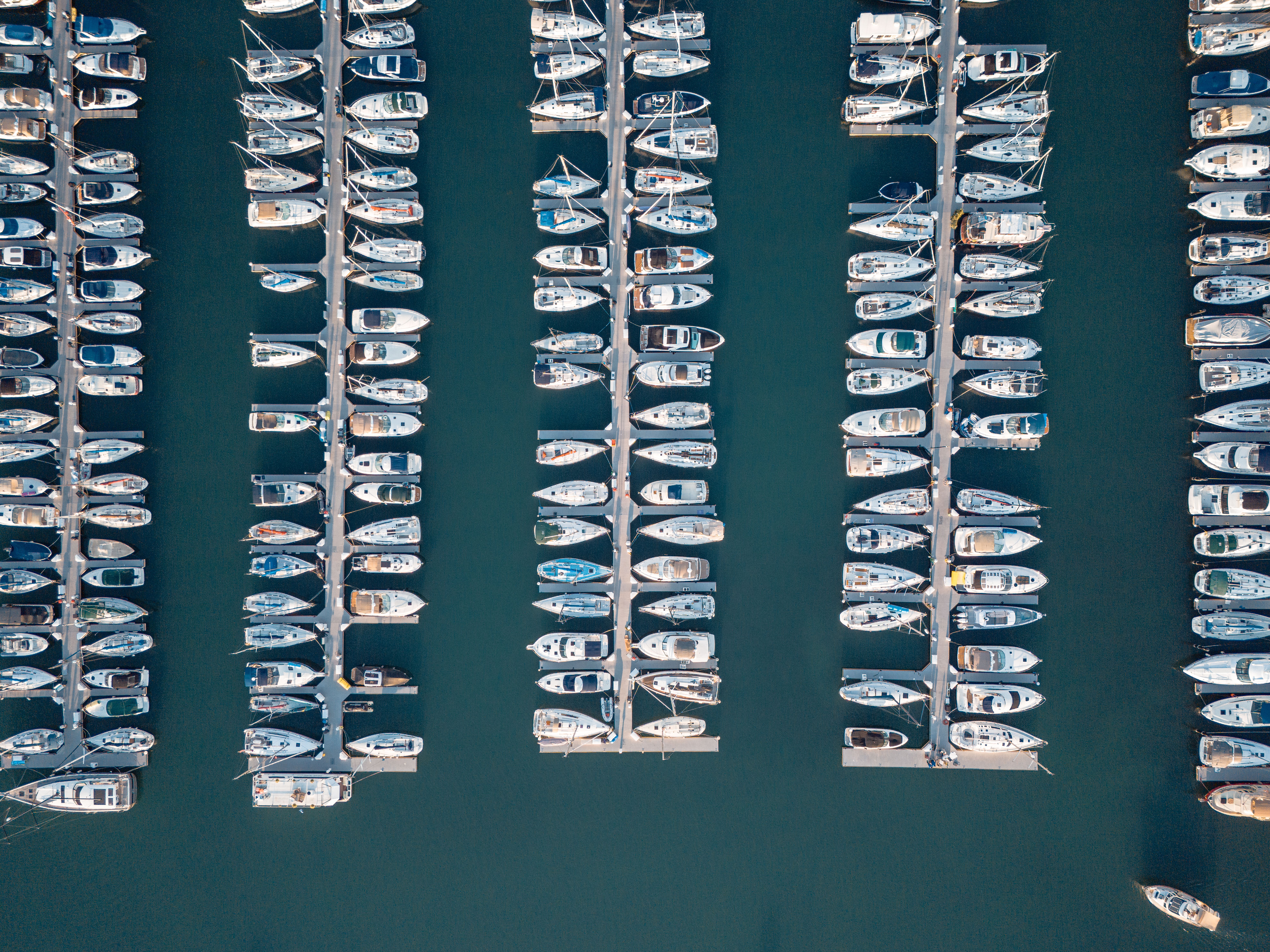 Aerial View of a Busy Marina with Docked Boats · Free Stock Photo