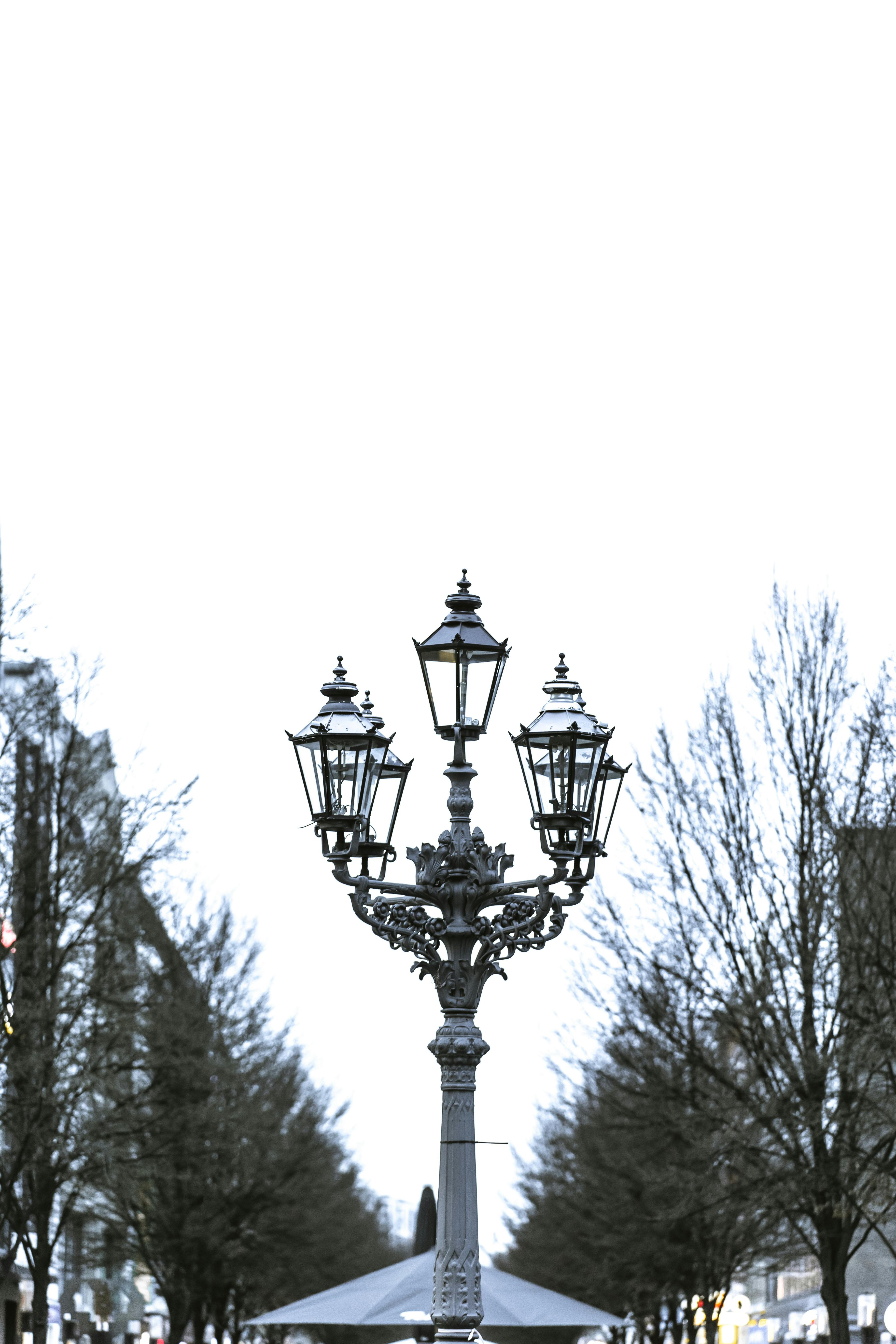 Classic Berlin Lamppost Lined by Trees · Free Stock Photo