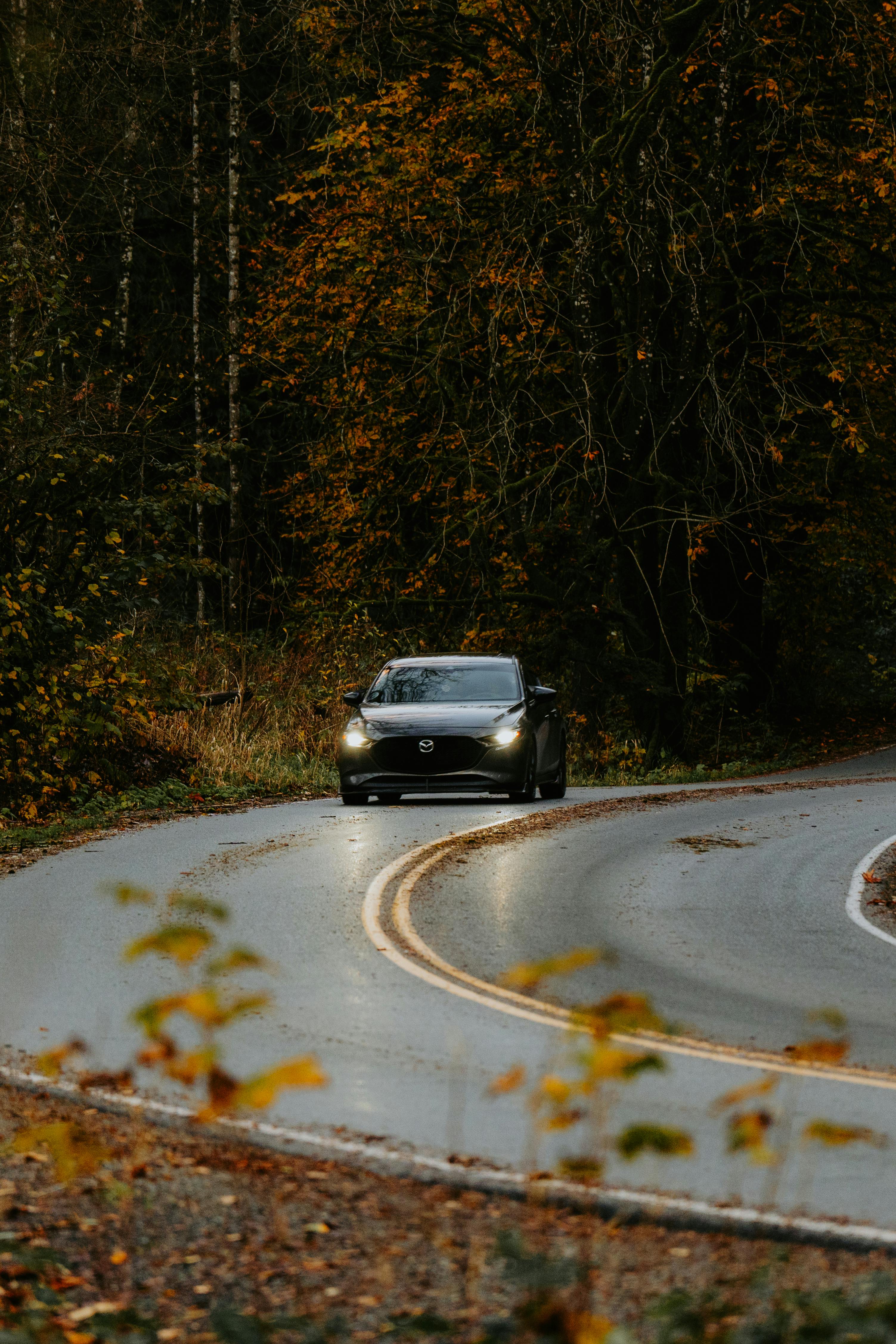 Car driving on winding autumn road · Free Stock Photo