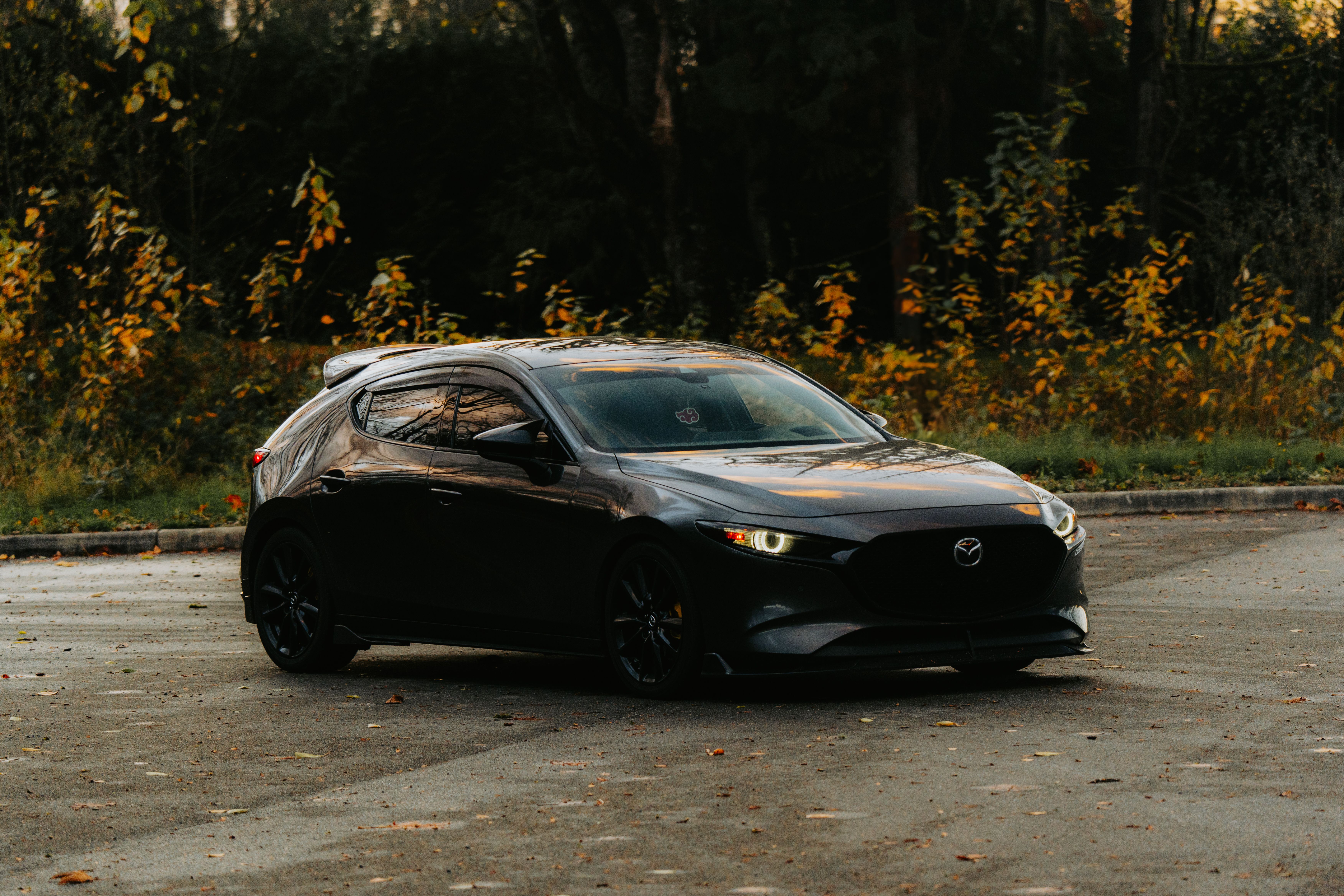 Sleek Black Car in Forest Setting at Dusk · Free Stock Photo