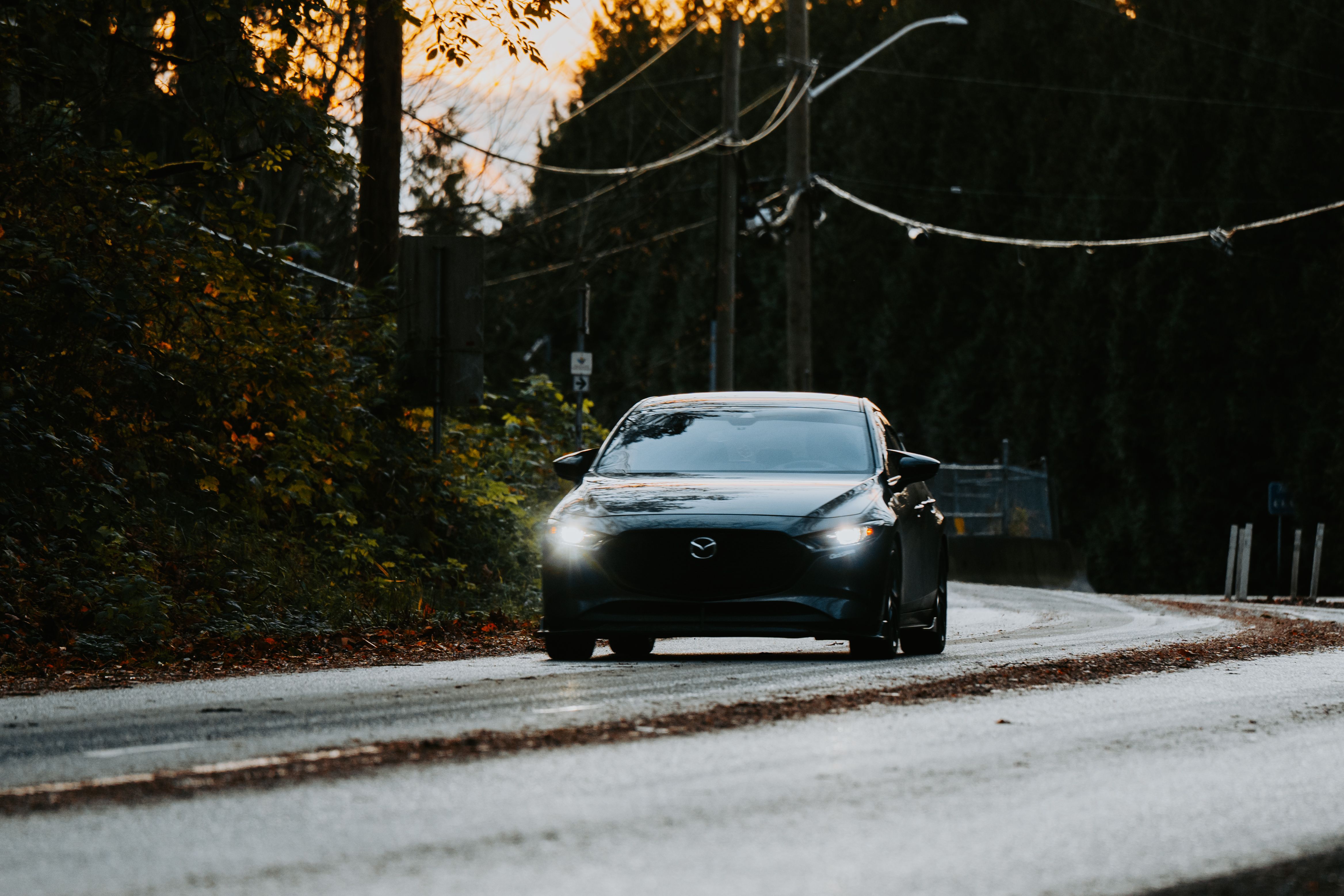 Car driving on a misty forest road at dusk · Free Stock Photo