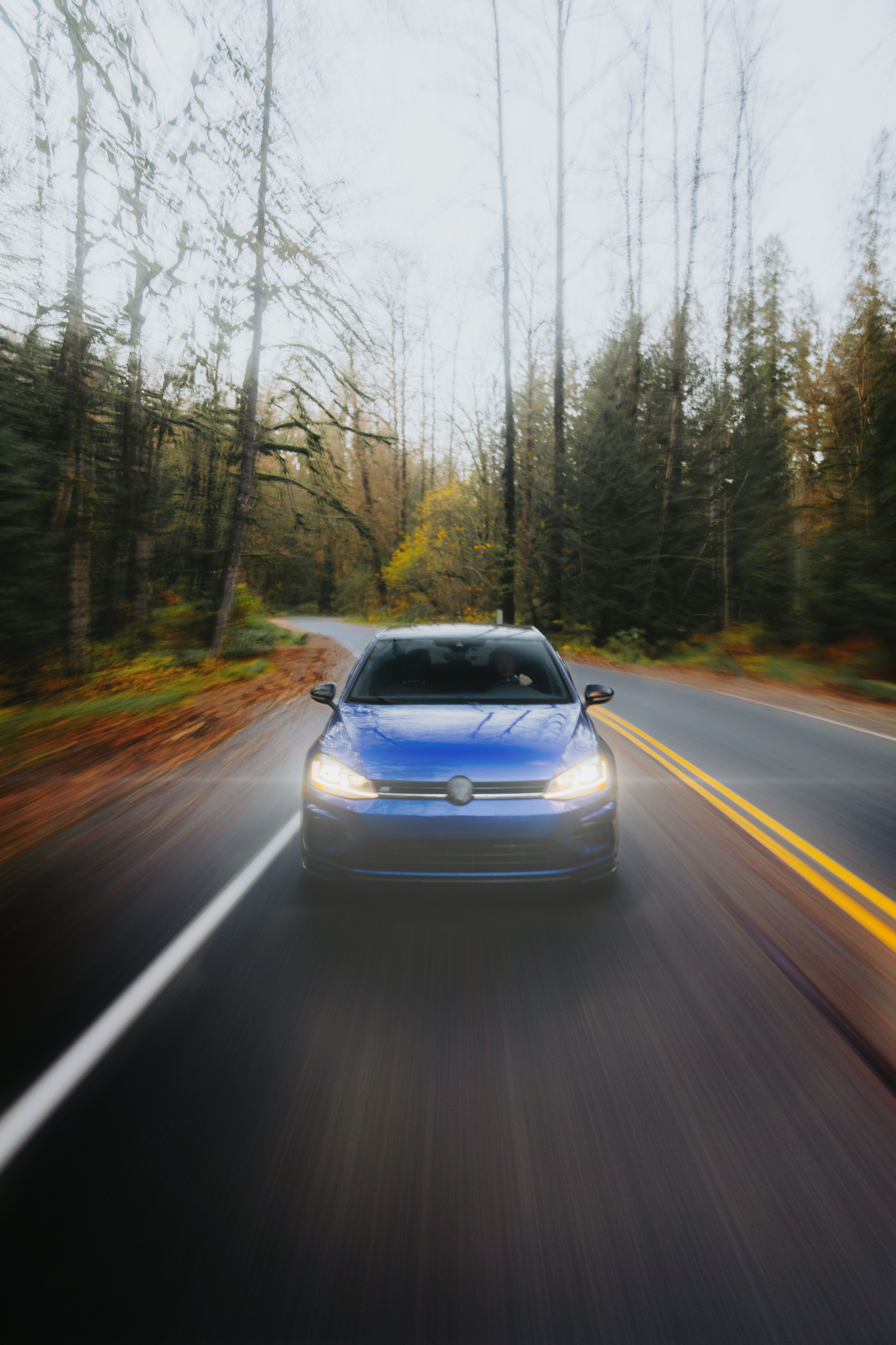 Blue Car Driving on Scenic Forest Road · Free Stock Photo