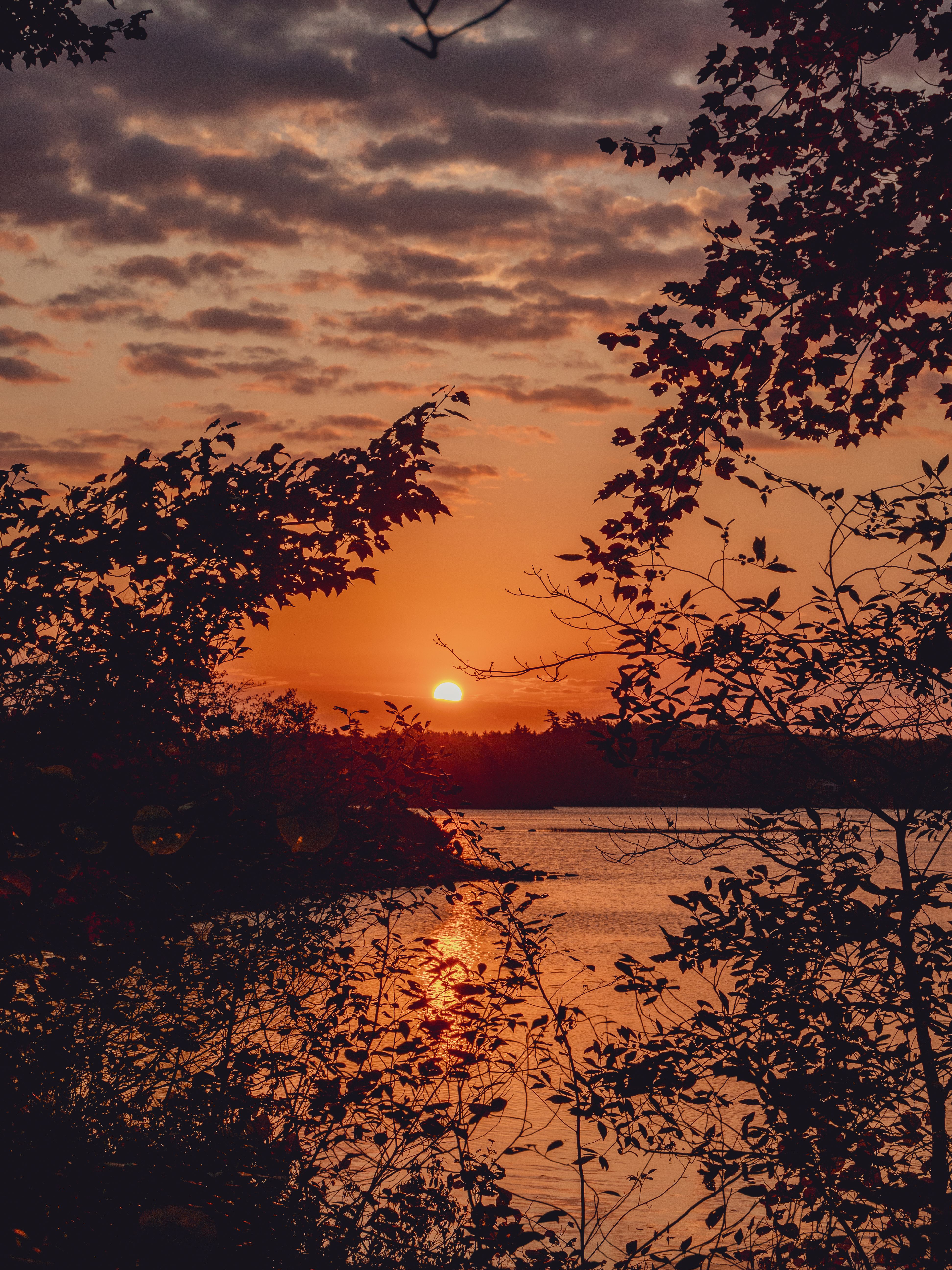 Serene Sunset Over Tranquil Lake · Free Stock Photo