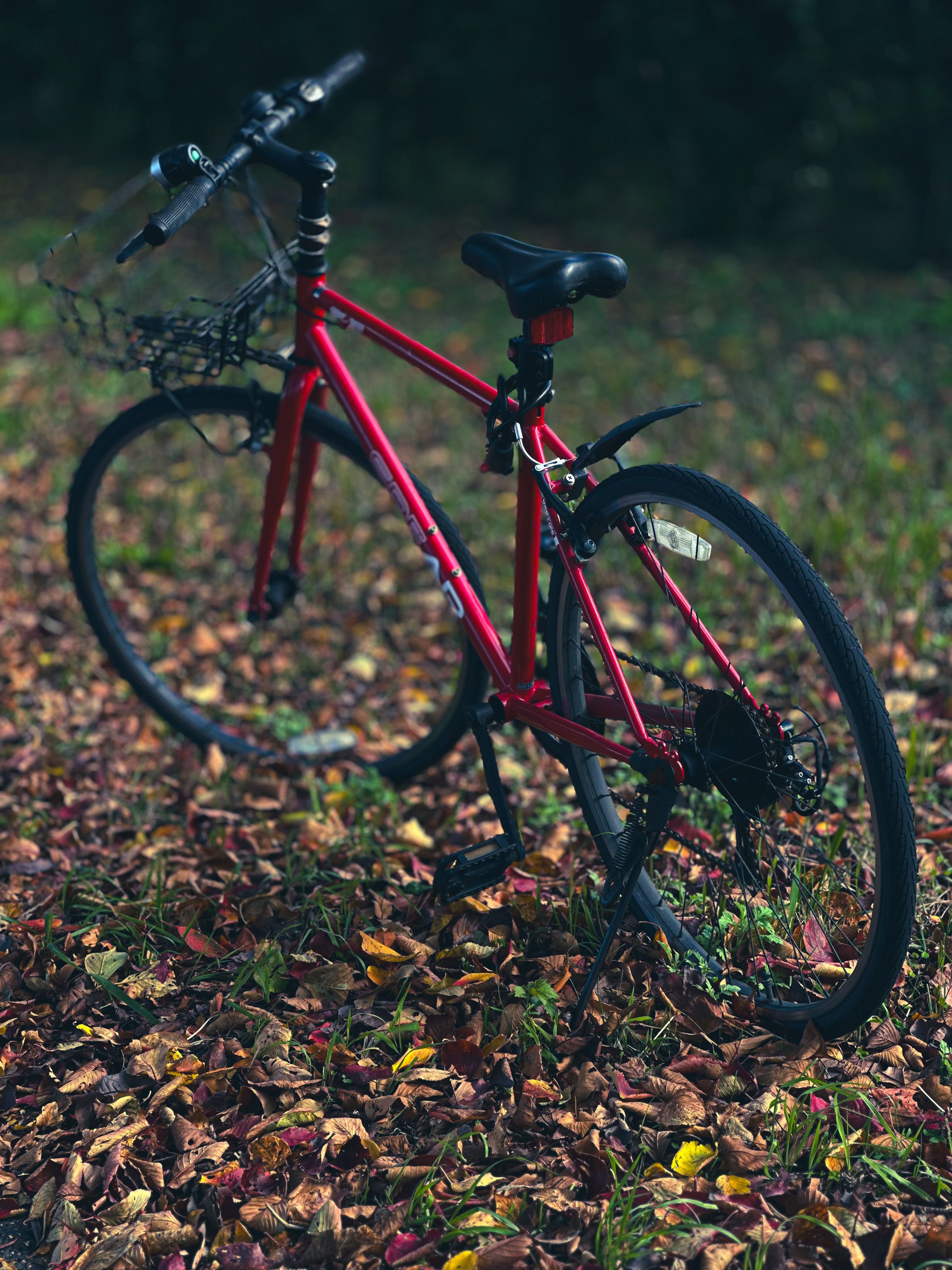 Red Bicycle on Autumn Leaves Outdoors · Free Stock Photo