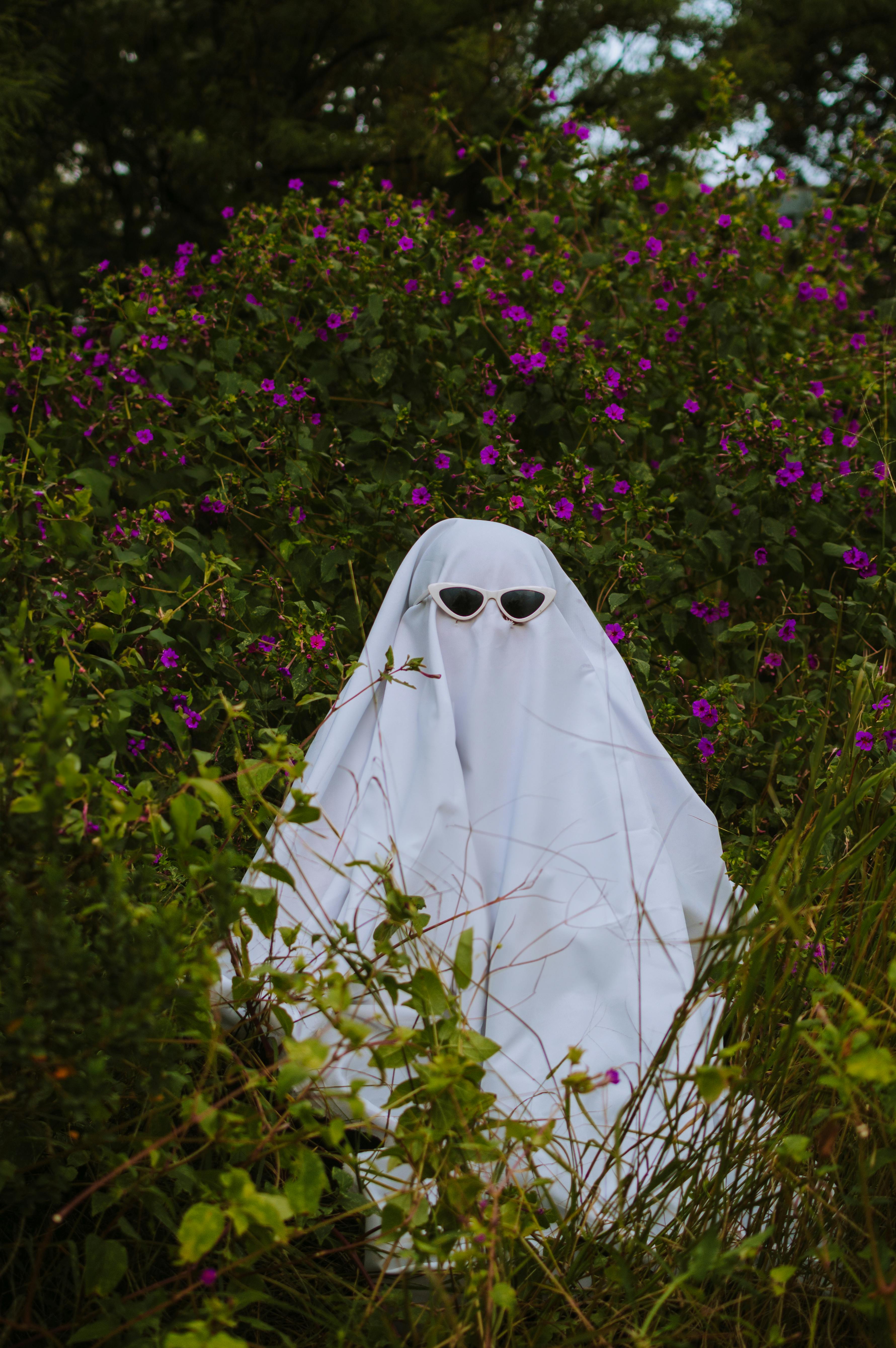 Funny Ghost Photos, Download The BEST Free Funny Ghost Stock Photos ...